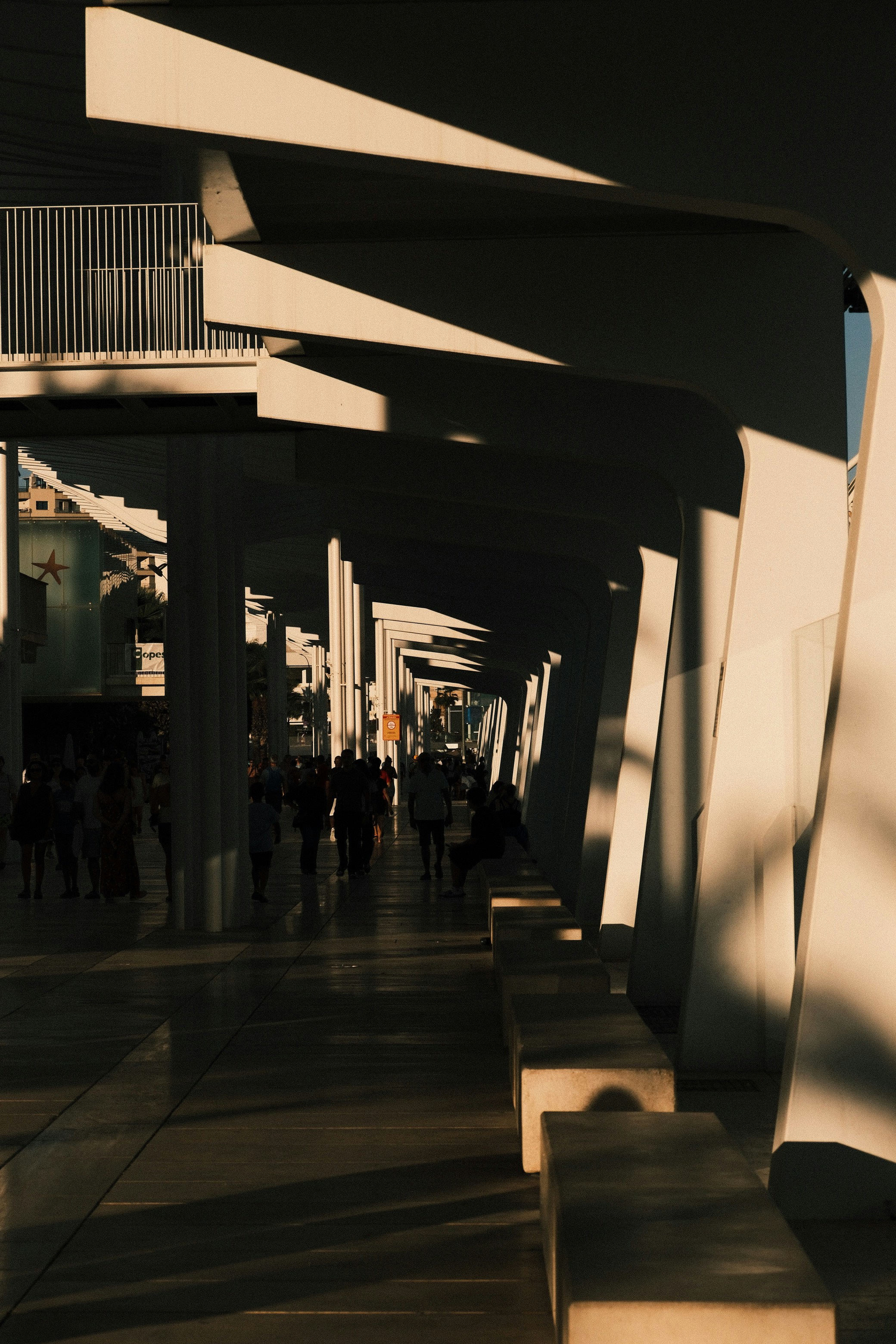 Shadowed Corridor: Repeating Frames of Light beneath the Bridge