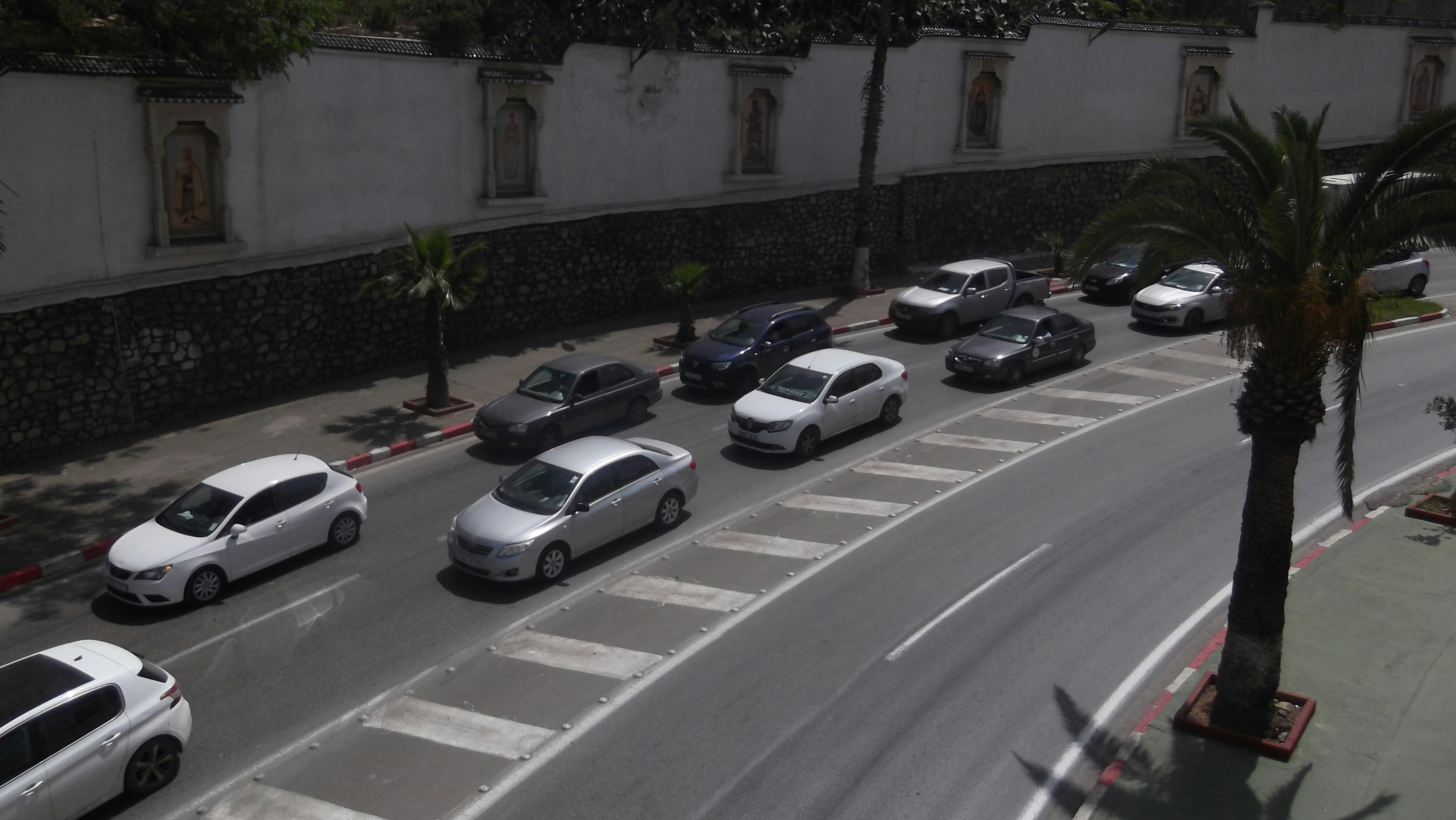 Lines in Transit: A Quiet Car Parade Along a Sunlit Street