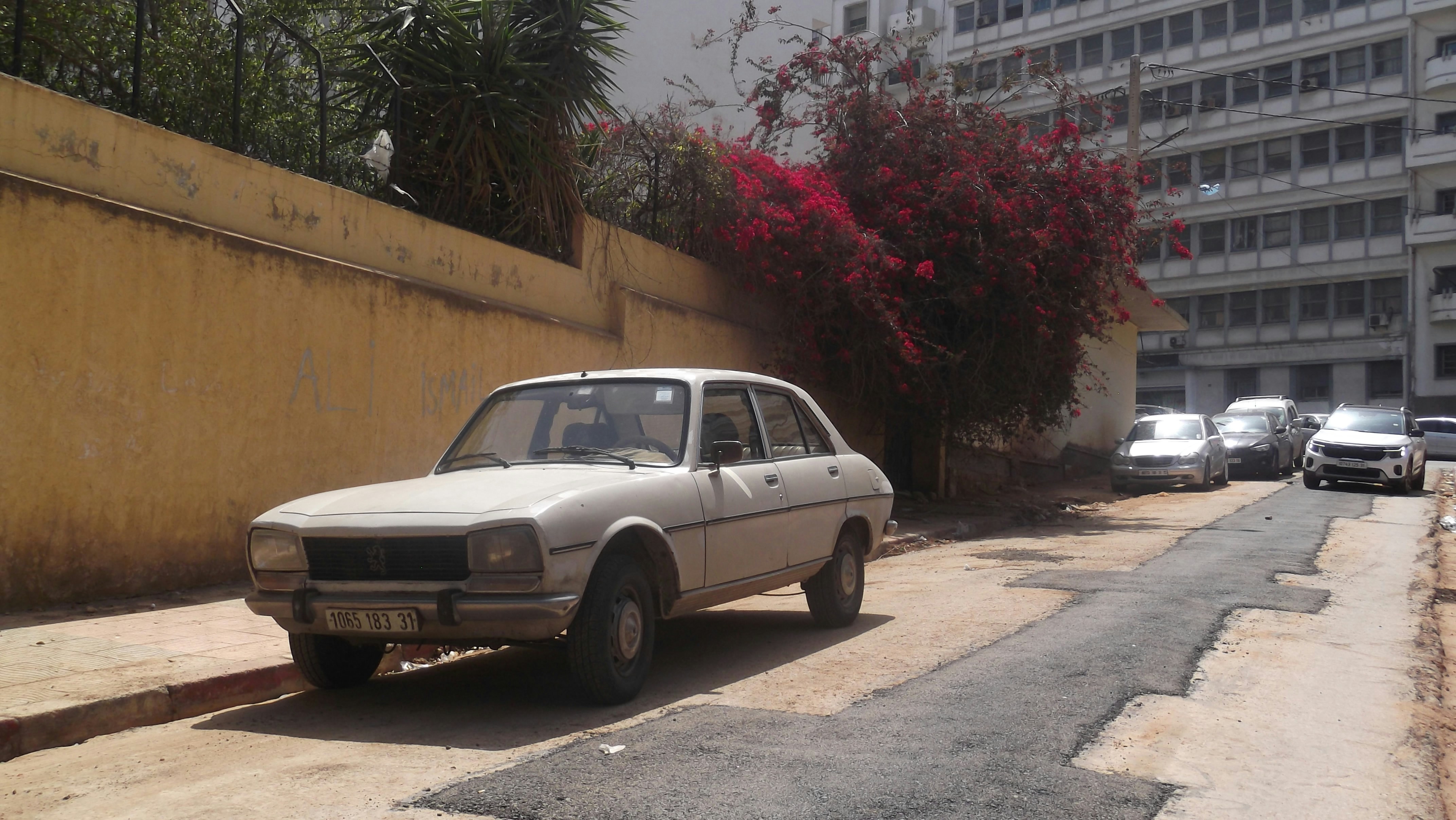 A vintage sedan waiting along a sunlit urban curb
