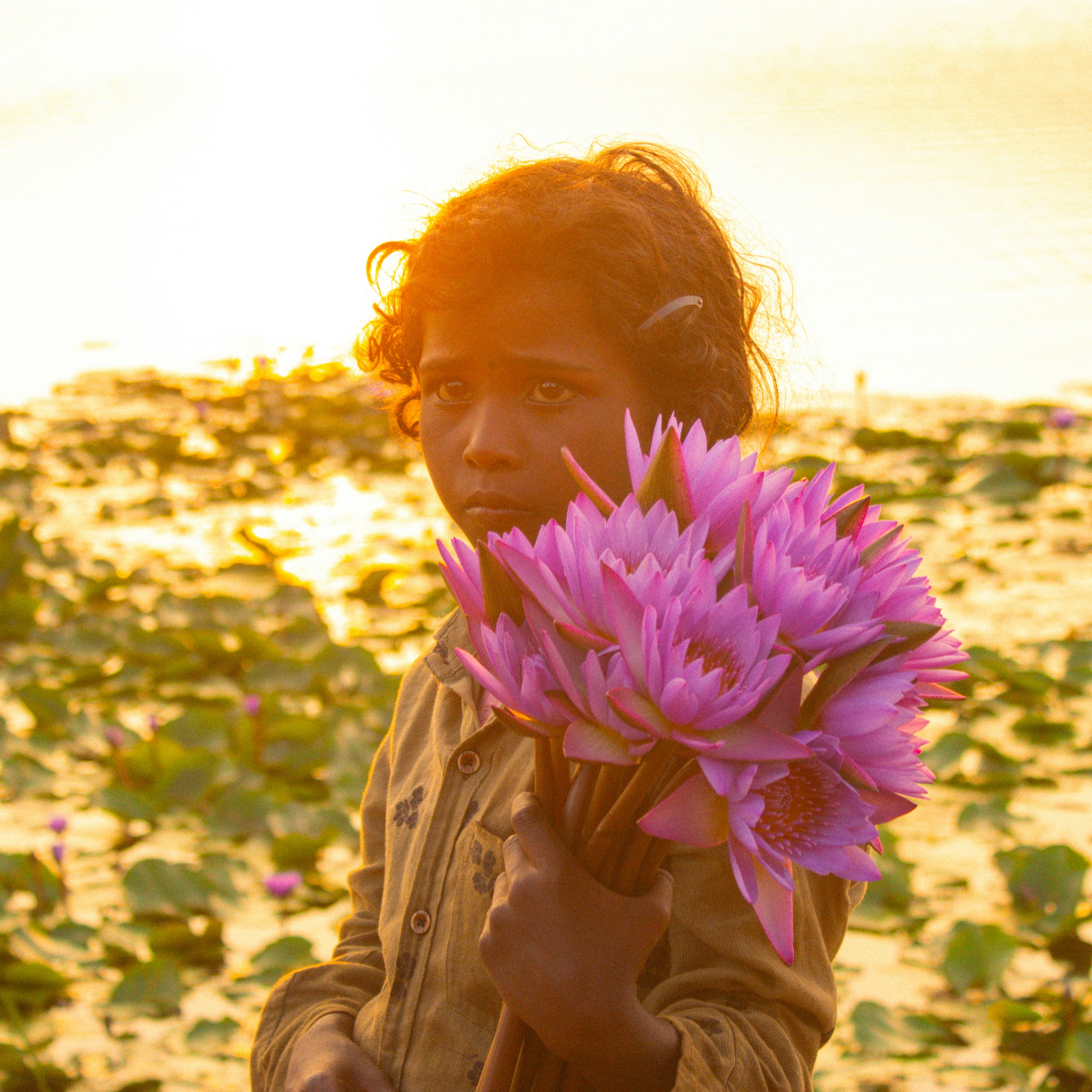 Sunlit Bloom: A Child’s Quiet Portrait with Pink Lotus