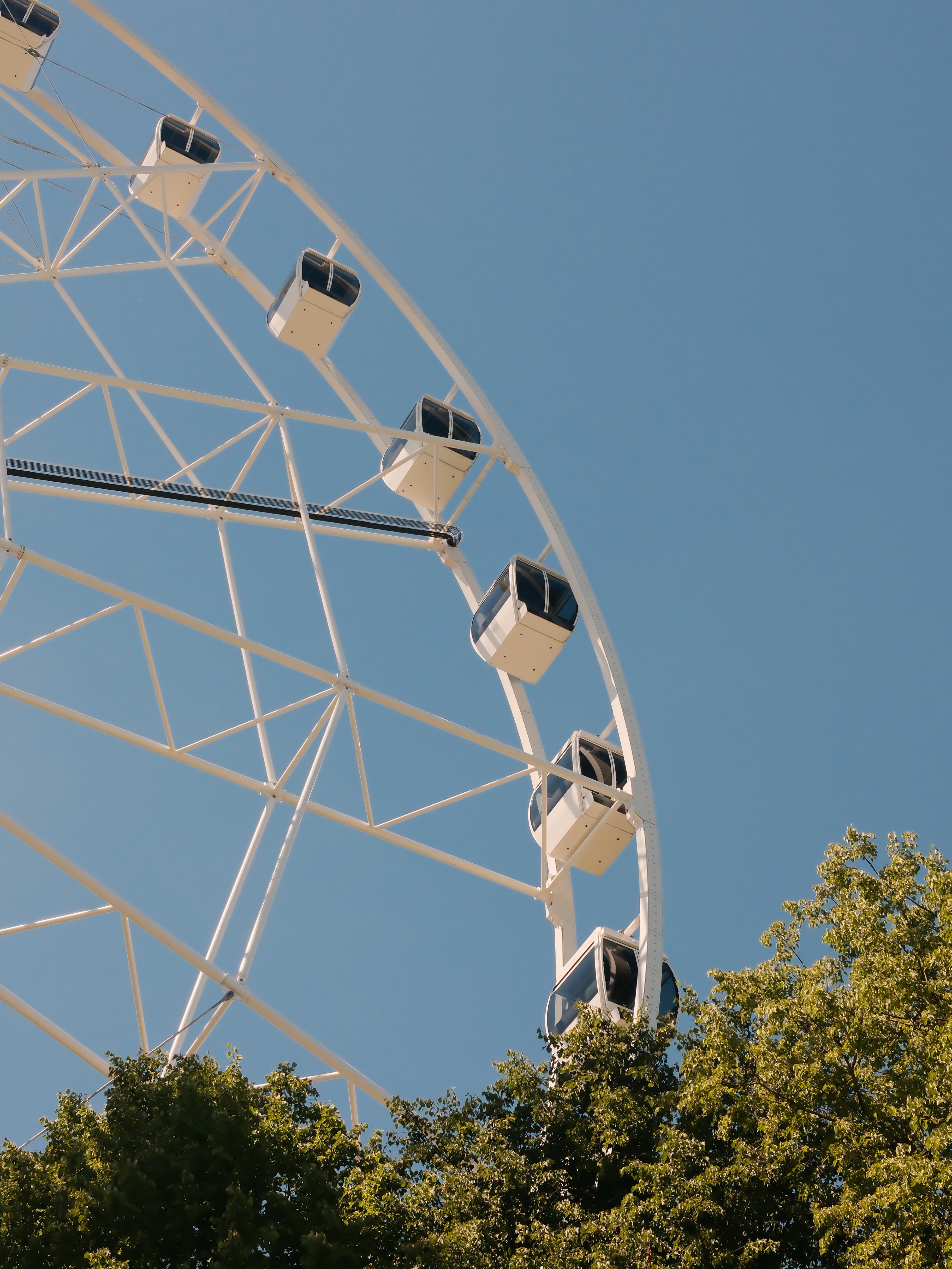 Cropped view of a white ferris wheel peeking into a bright blue sky with green trees at the bottom, highlighting geometric frames and motionless cabins.