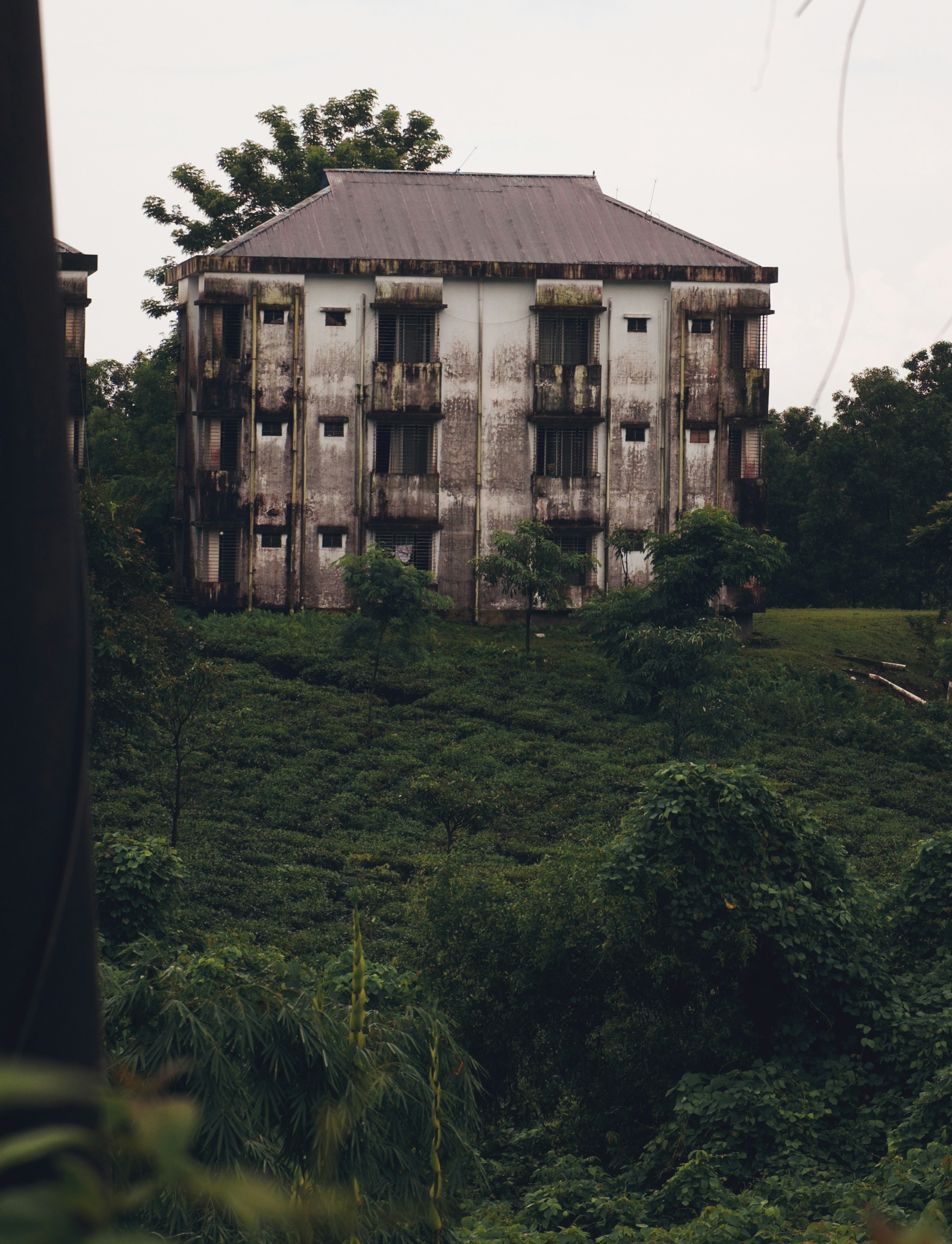Abandoned Overseer: A Weathered Apartment Reaches for the Sky