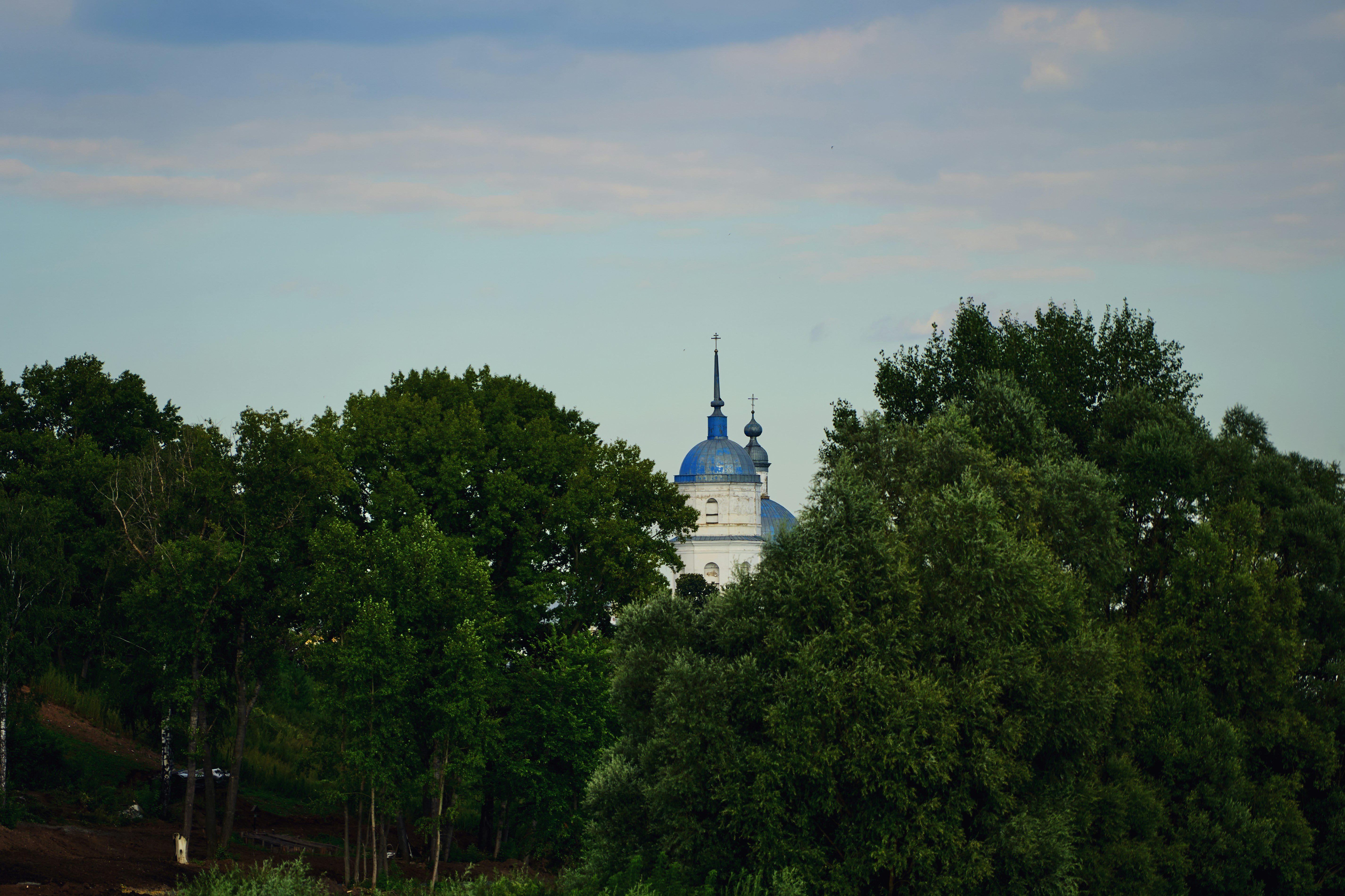 Hidden Dome Above the Green Canopy