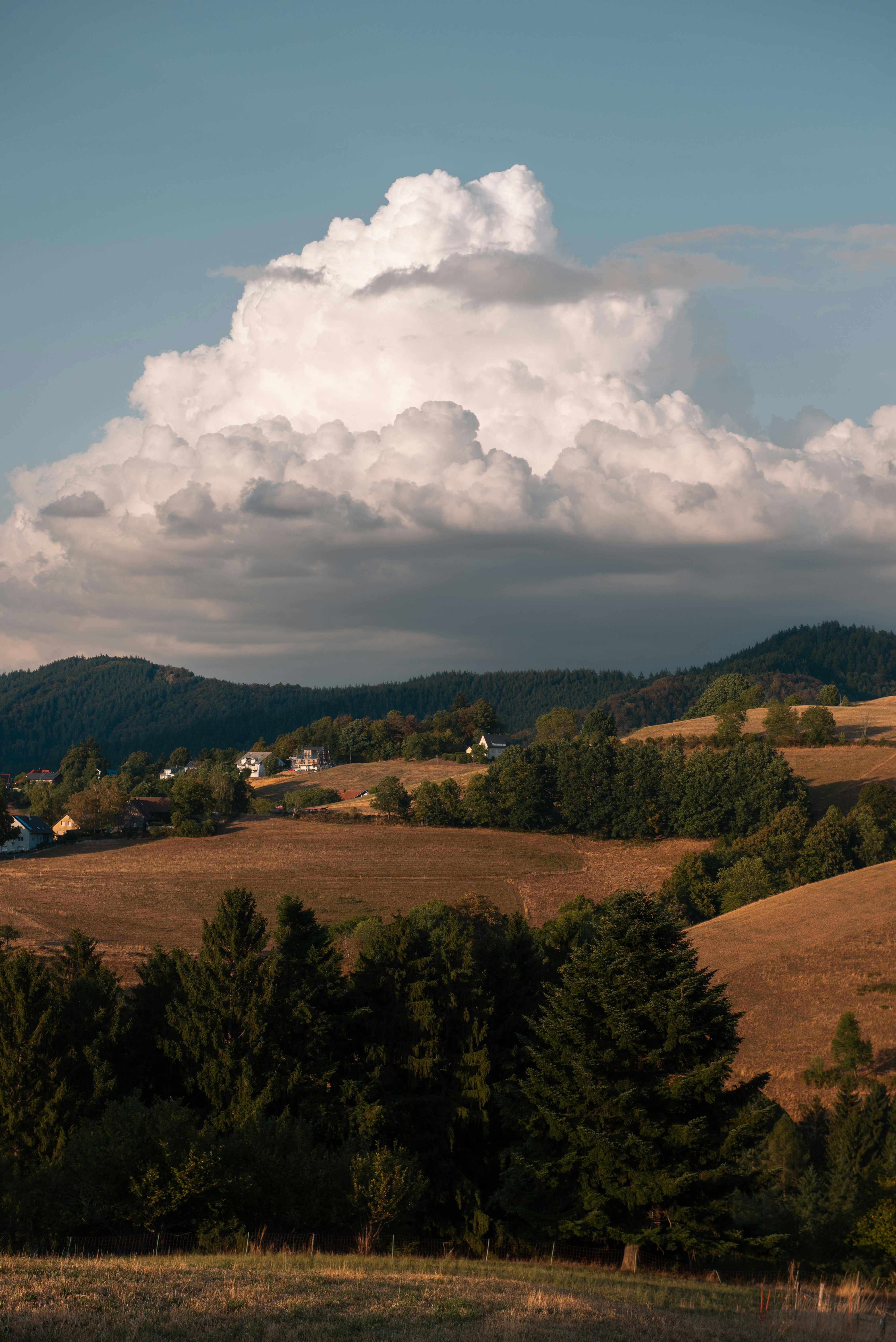 Cloud Over Quiet Hills: A Rural Landscape Soaking in Golden Light