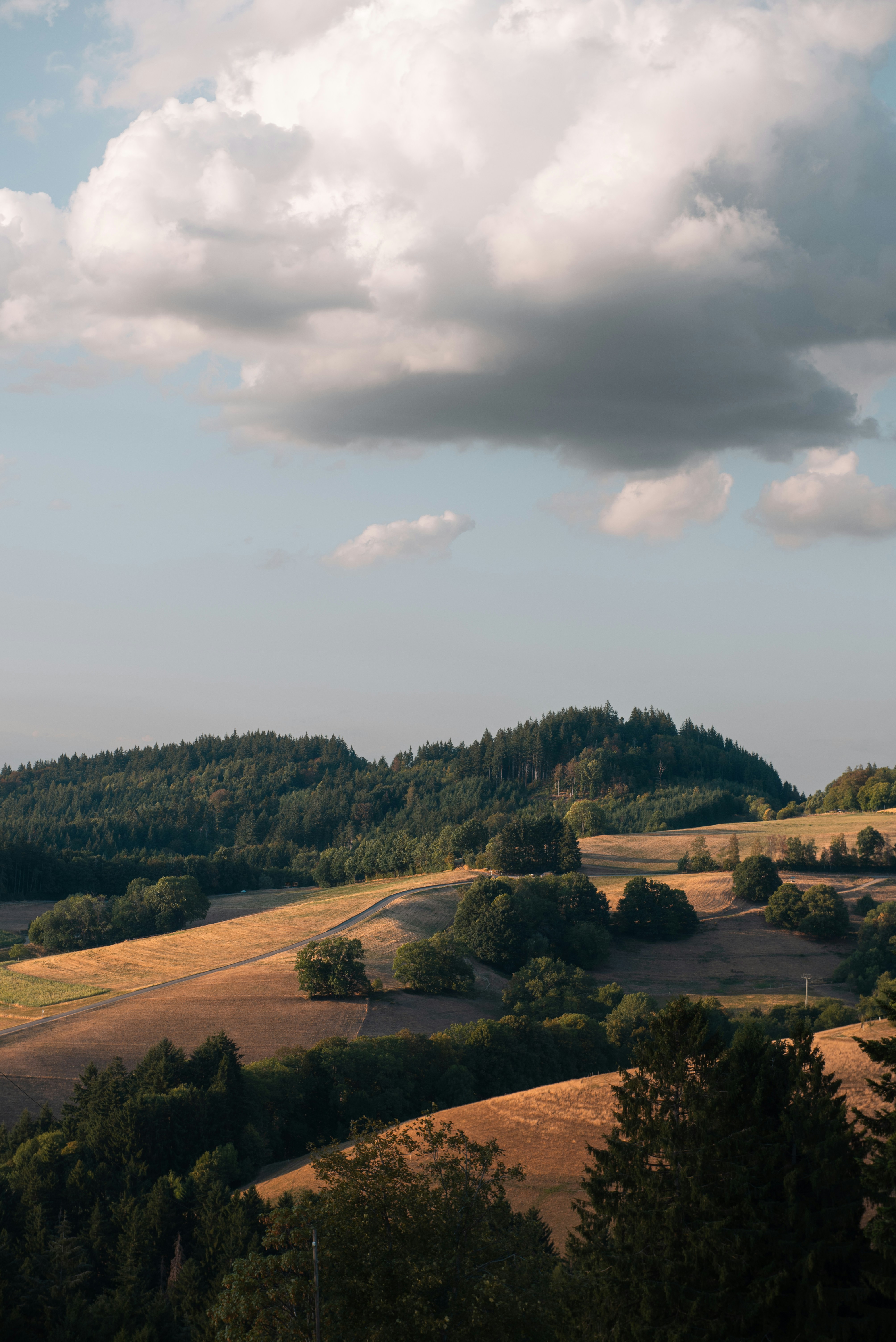 Rolling Hills Under a Quiet Sky