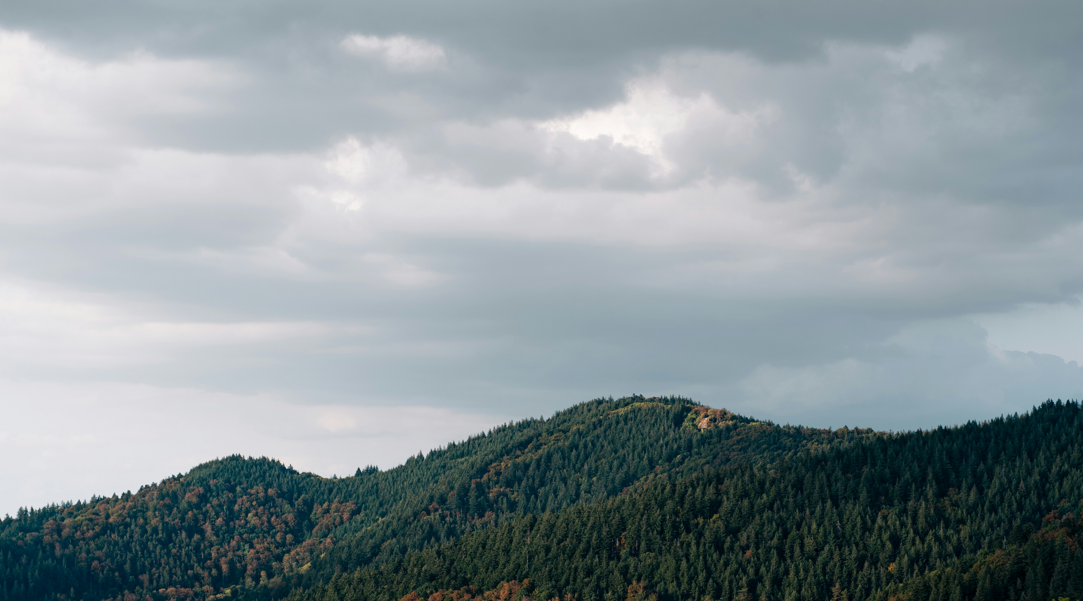 Evening Crest: A rolling hillside under a stormy sky