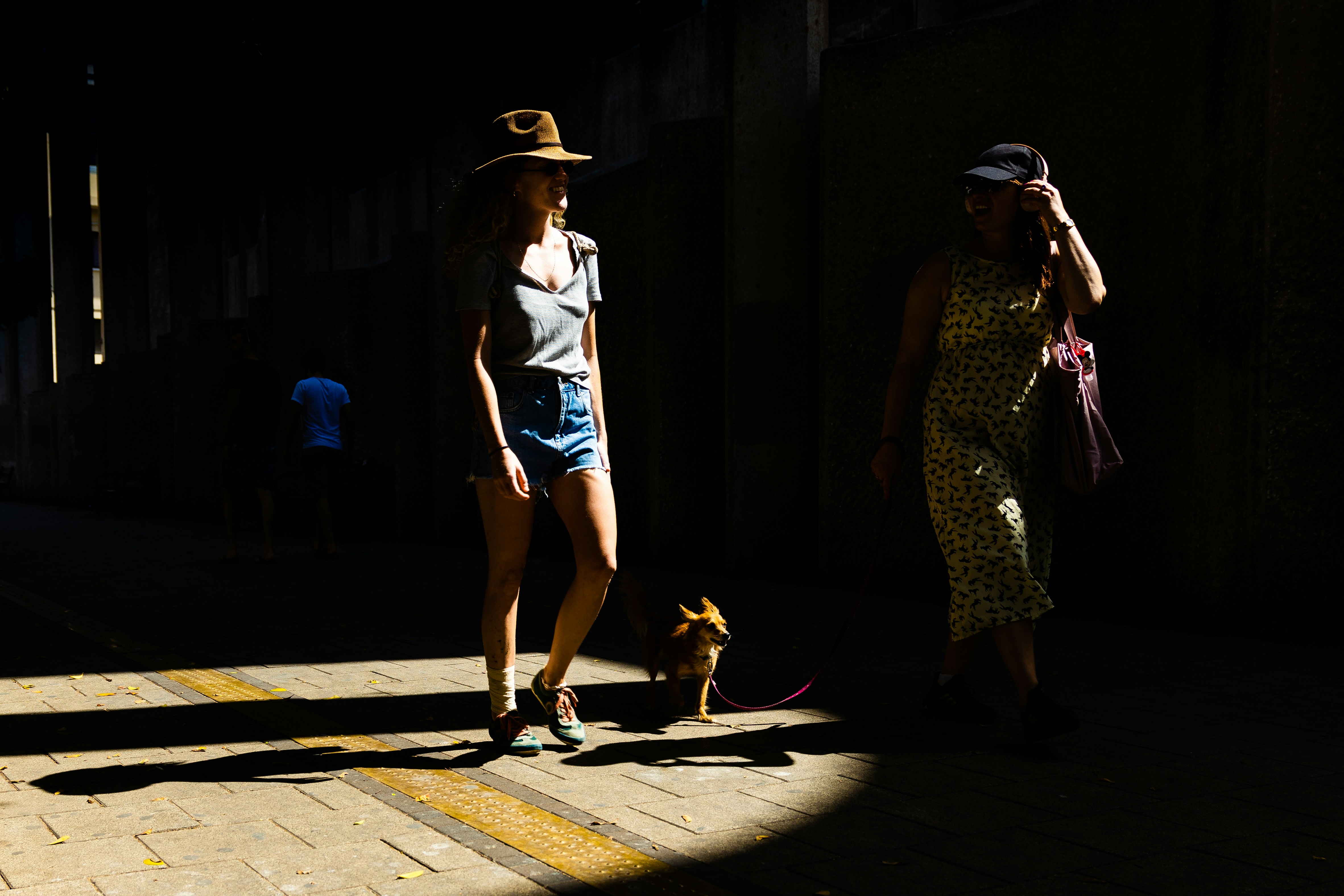 Shadowed Walk: Two women and a small dog in a sunlit street