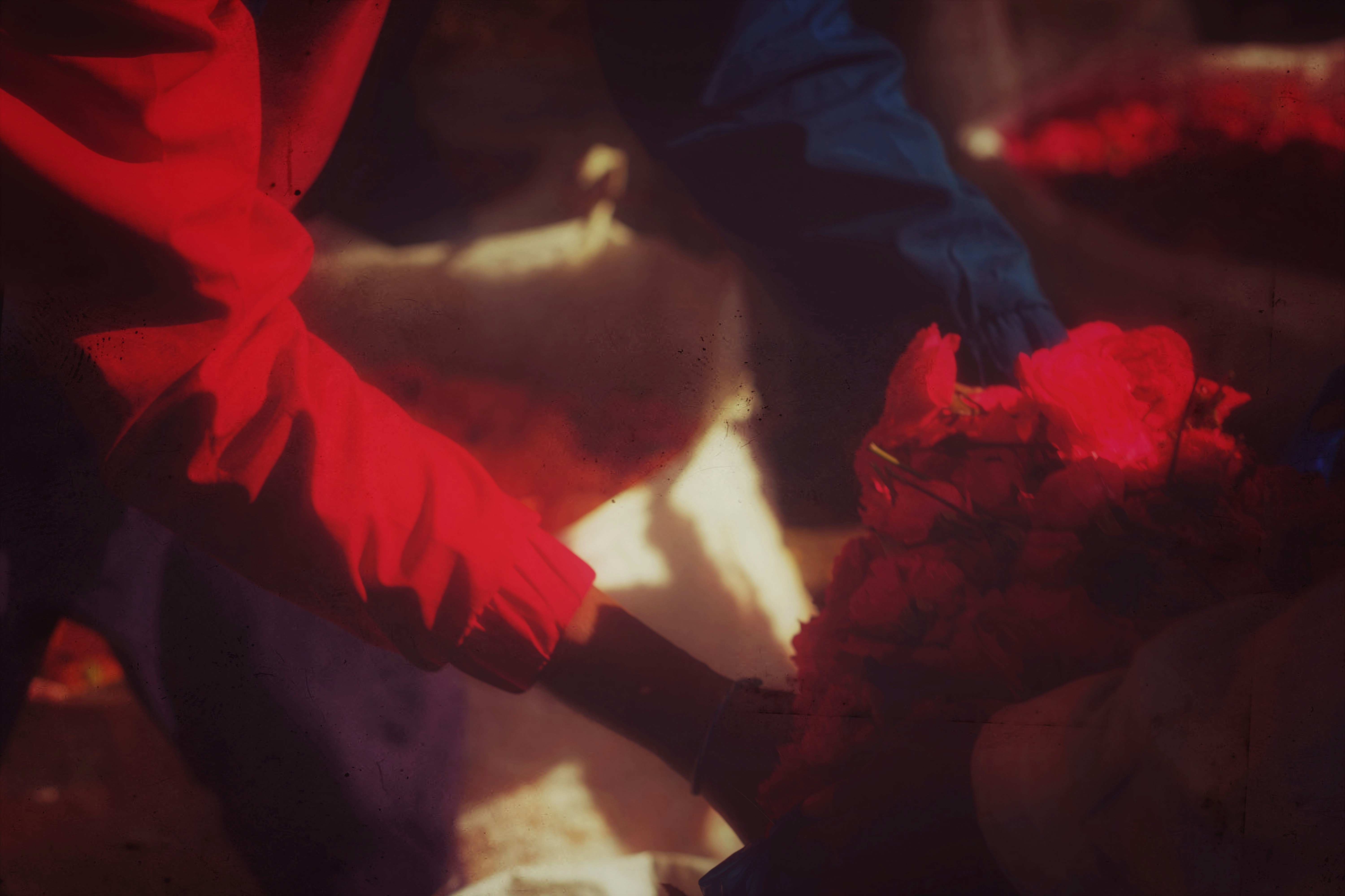 Hands tending a crimson-lit foliage or floral scene