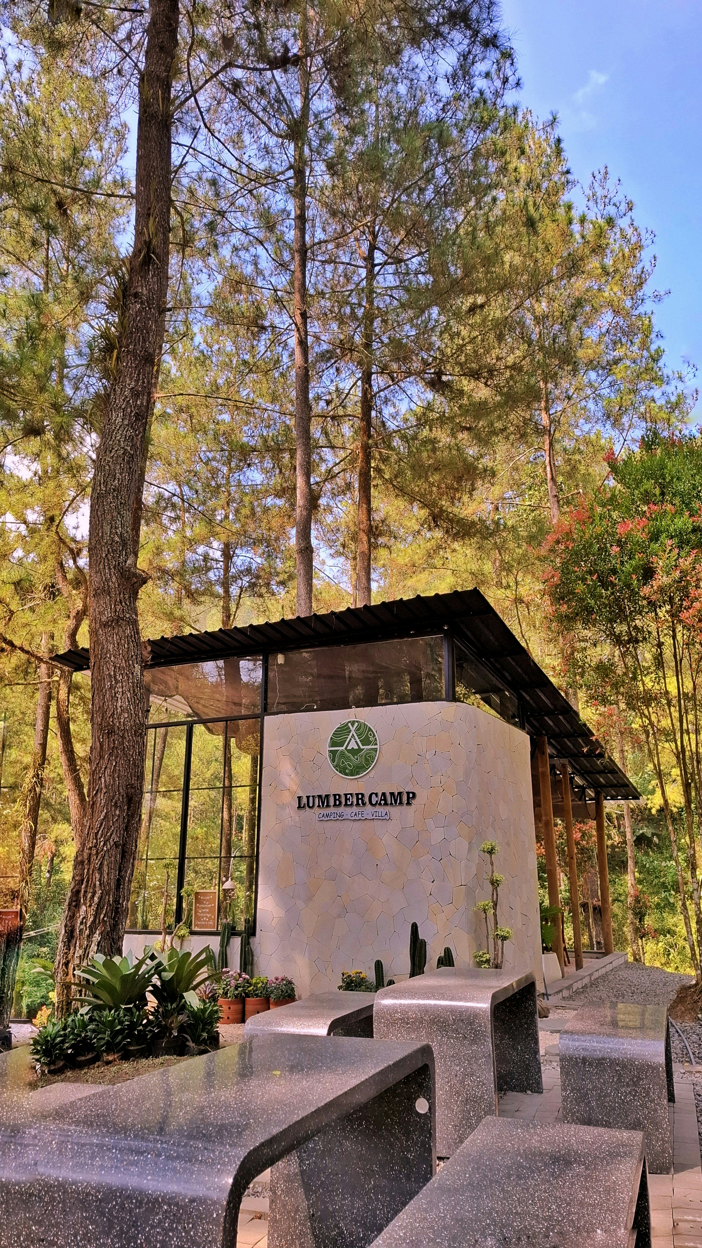Lumber Camp Signage Beneath a Canopy of Pines