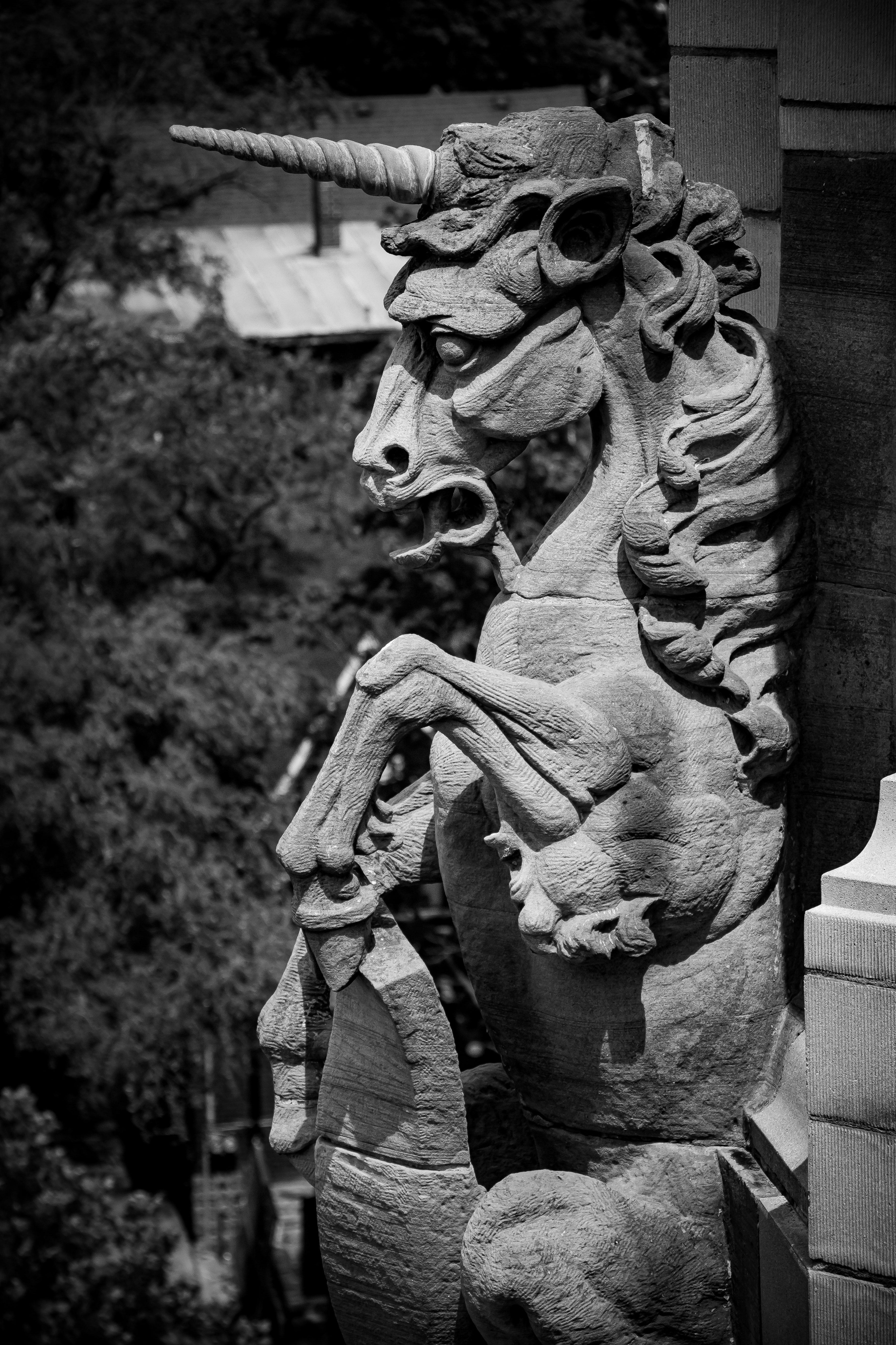 Stone Guardian: A Unicorn Statue with Shadowed Mystery
