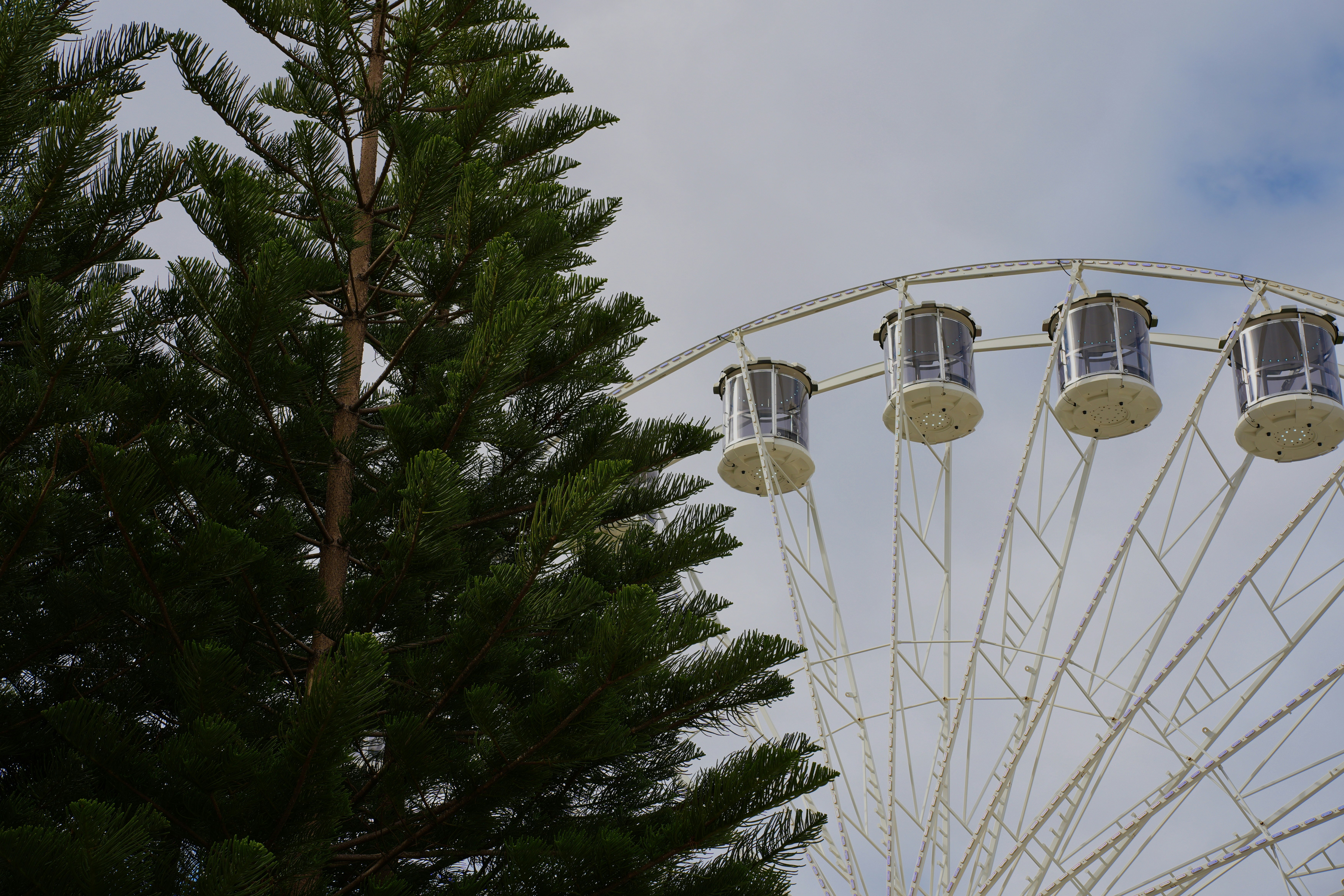 Ferris Wheel Echoes Beyond the Pines