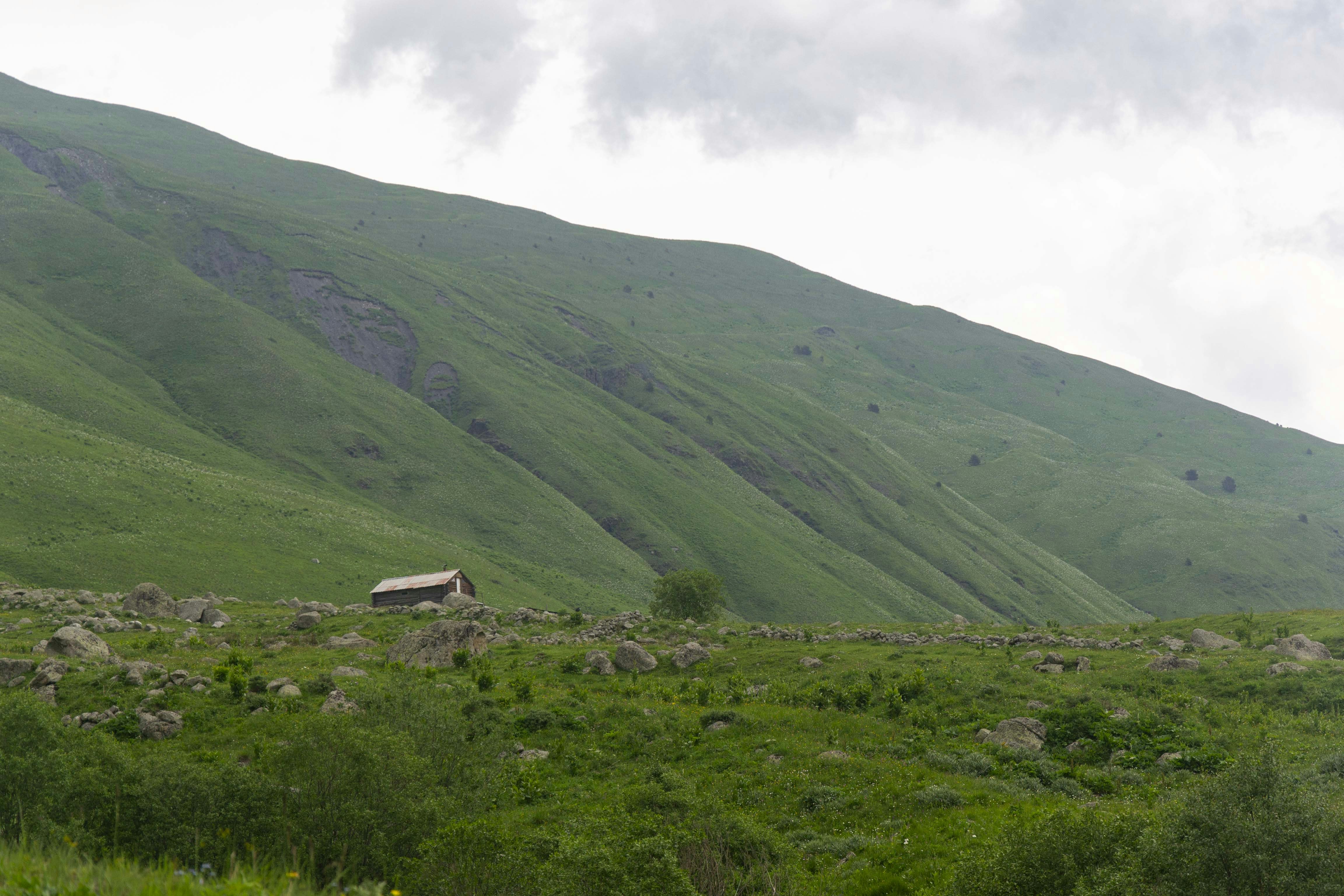 Lone Cabin at the Foot of Rolling Green Hills