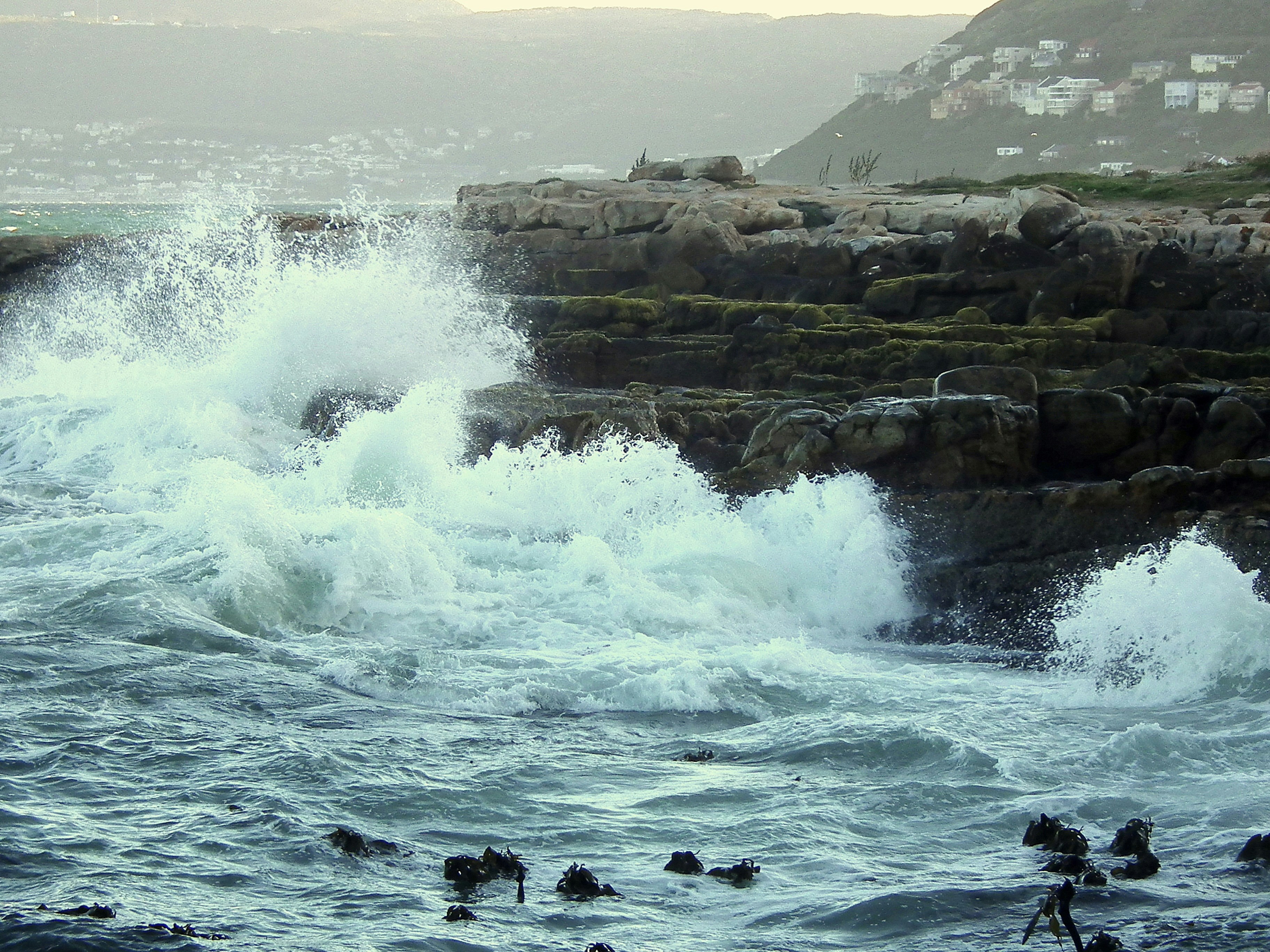 Coastal Crest: Foam Over Rock Tides at Dusk