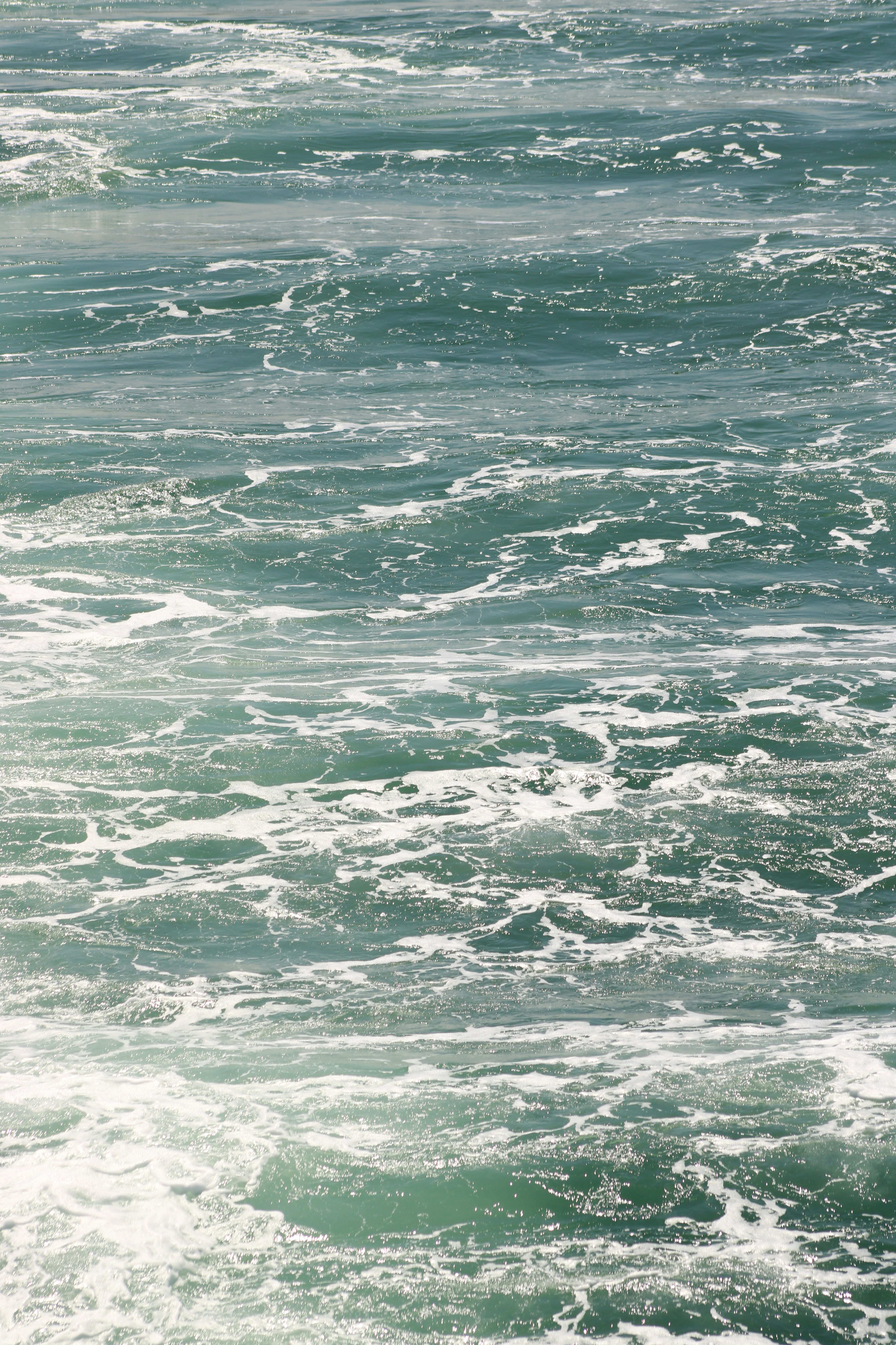 A Tidal Mosaic: Sunlit Currents and Veins of Foam