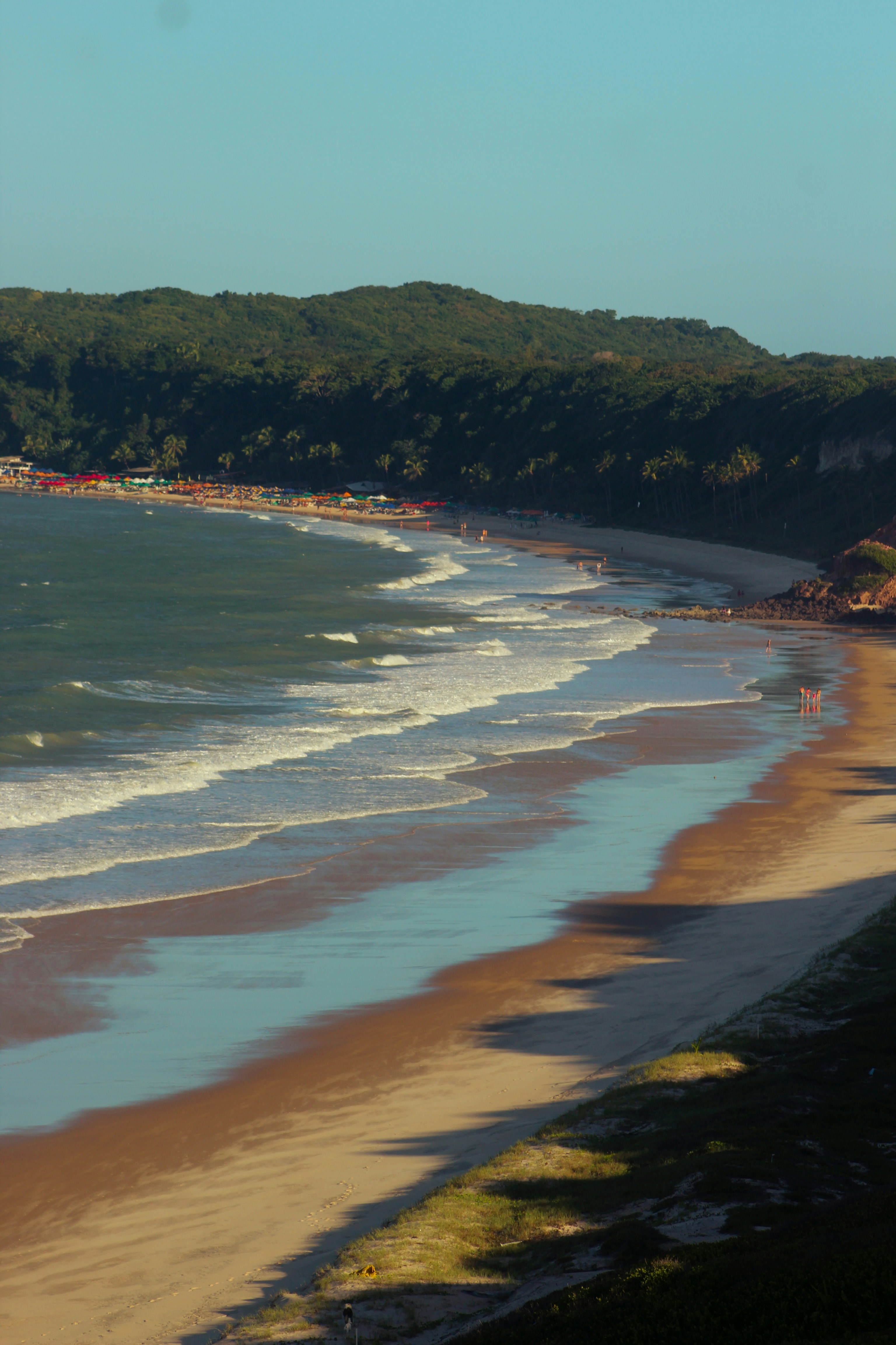 Long Beach Promenade: gold sand, turquoise surf, and forested cliffs