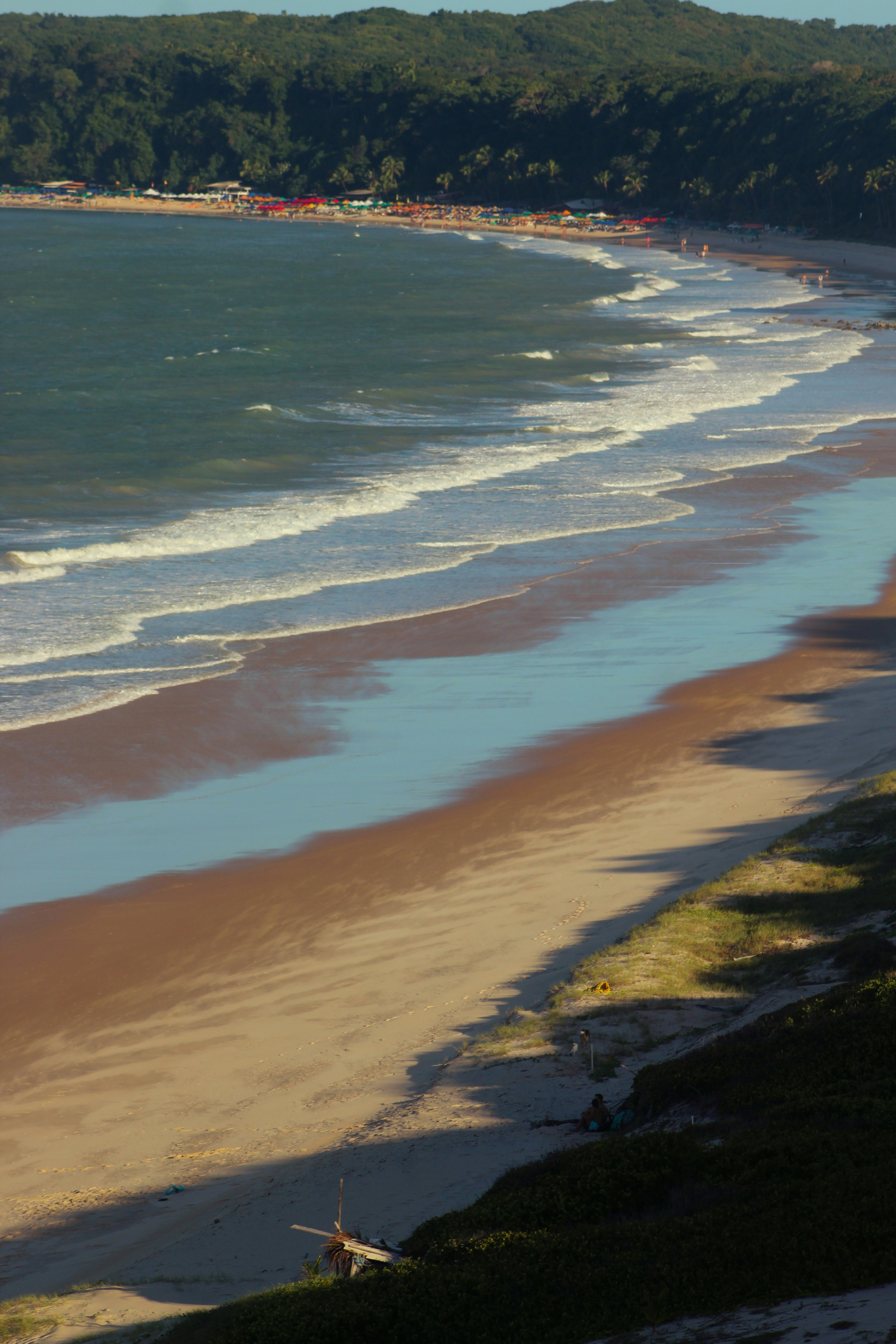 Golden Thread Along the Shore: A Quiet Band of Beach and Dunes