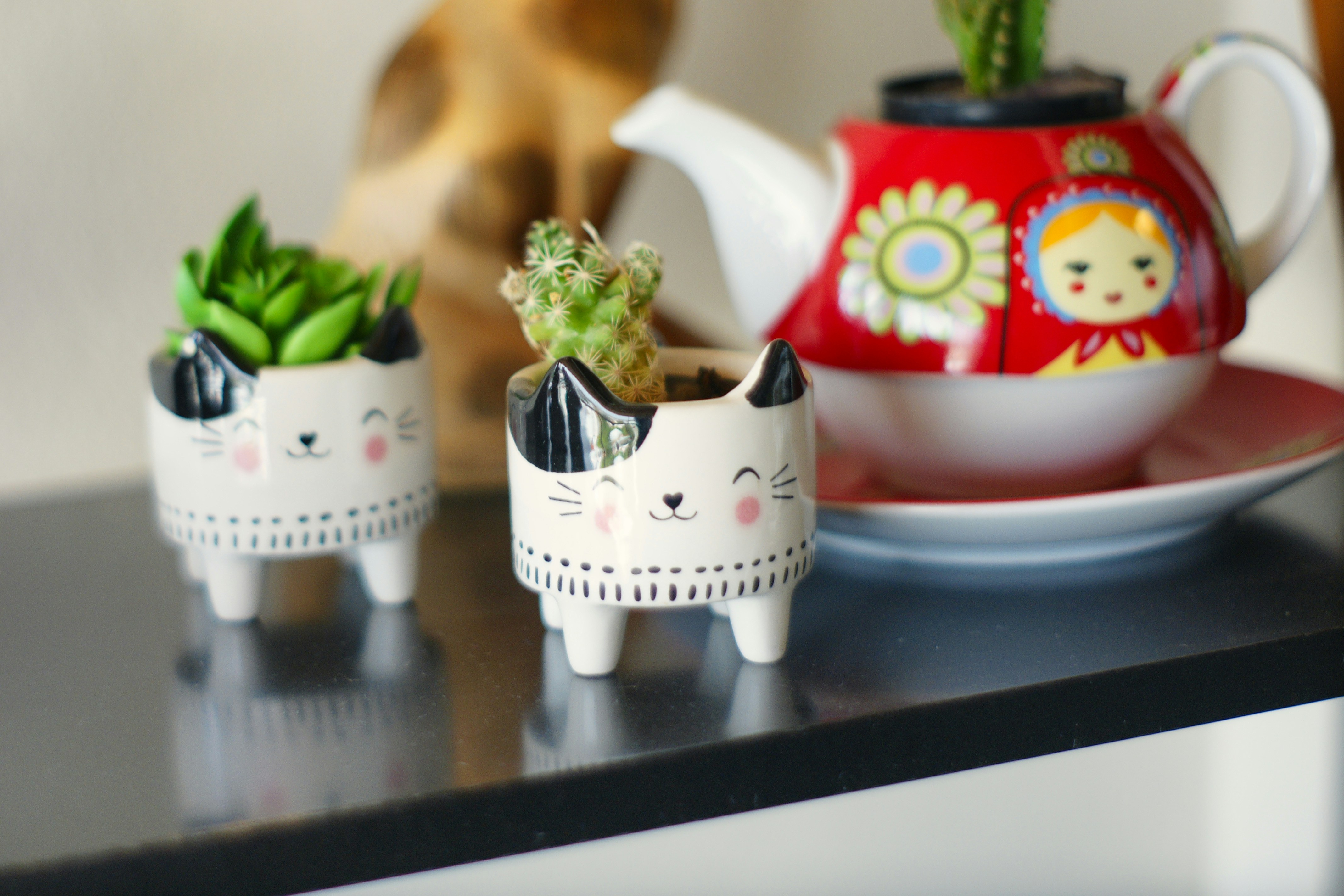 Whimsical Cat Planters with Succulent Corner
