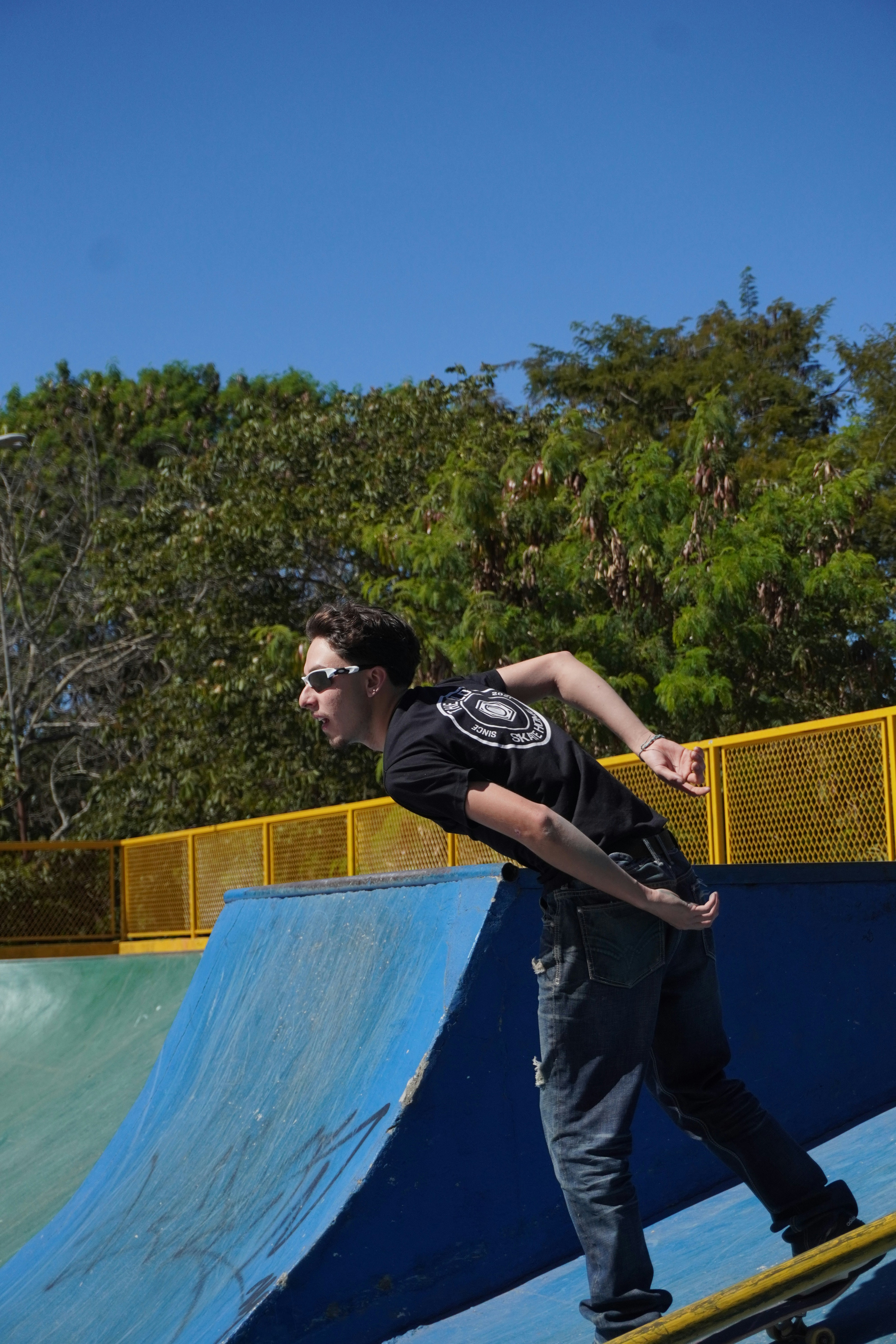 Diving Forward: A skater lunges along a sunlit skate bowl