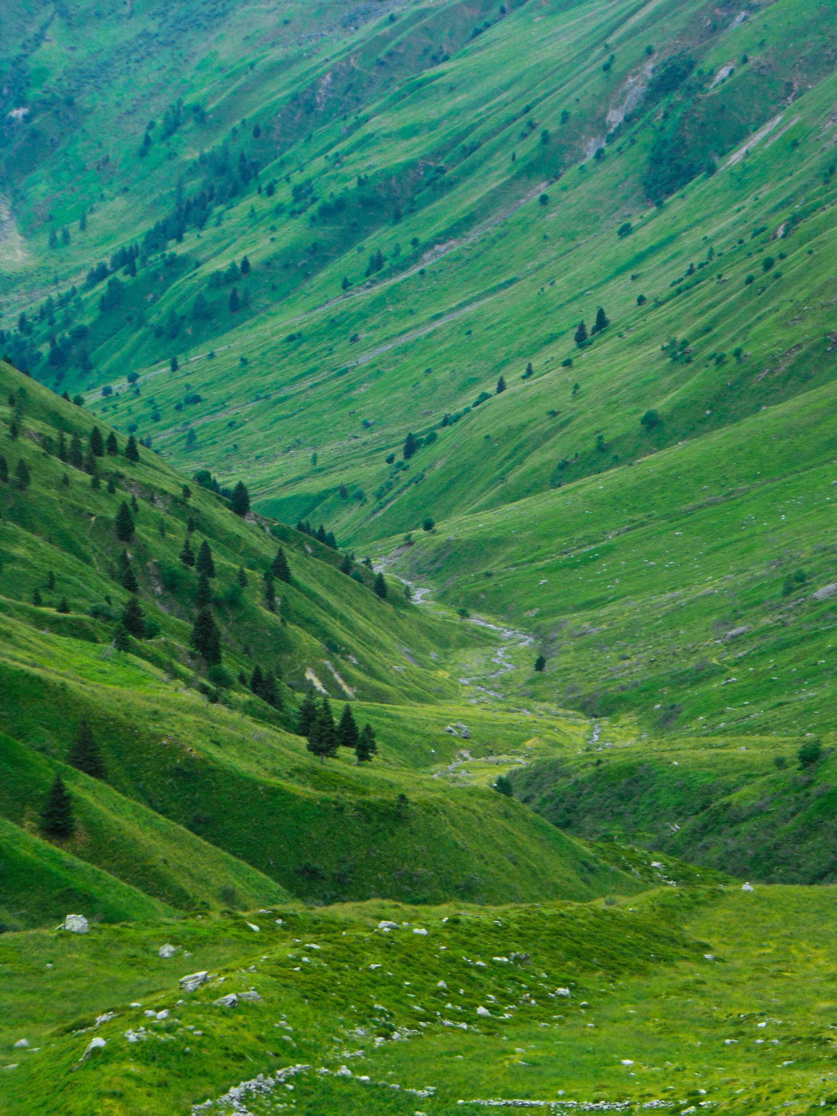 Green Valley Ascent: A Quiet Vein of Mountain Flow