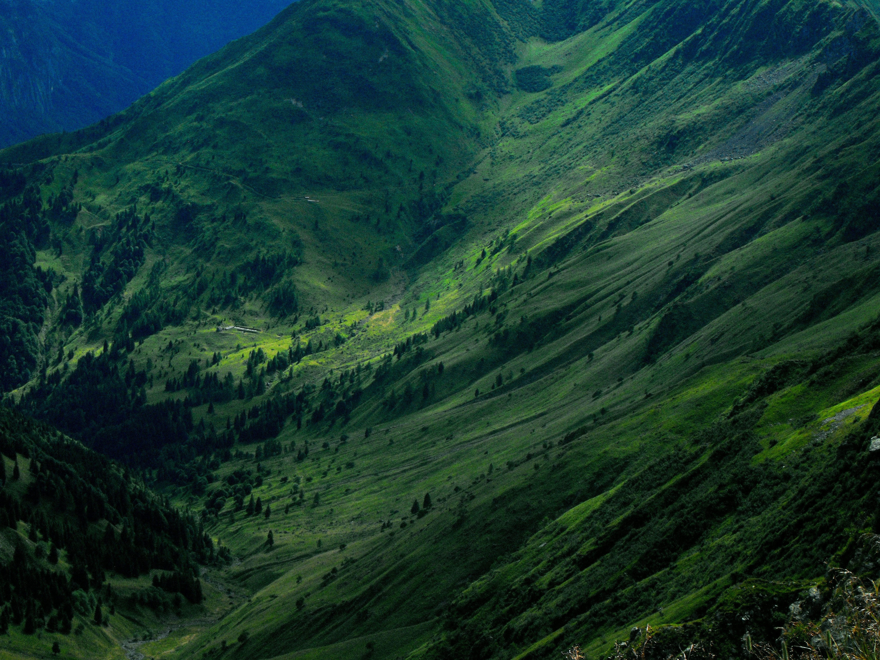 Green Valley Amphitheater: Sunlit Slope Within a Mountain Fold