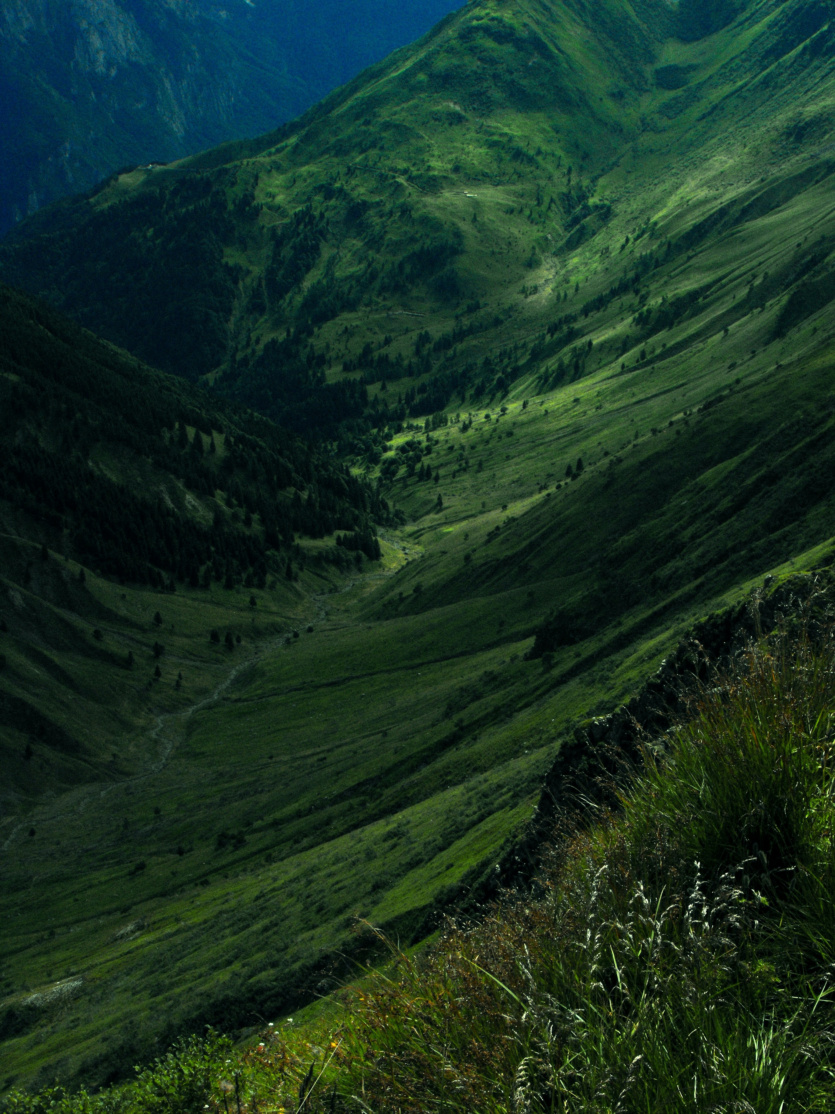 Green Valley Ascent: A Quiet Pass Through Alpine Slopes