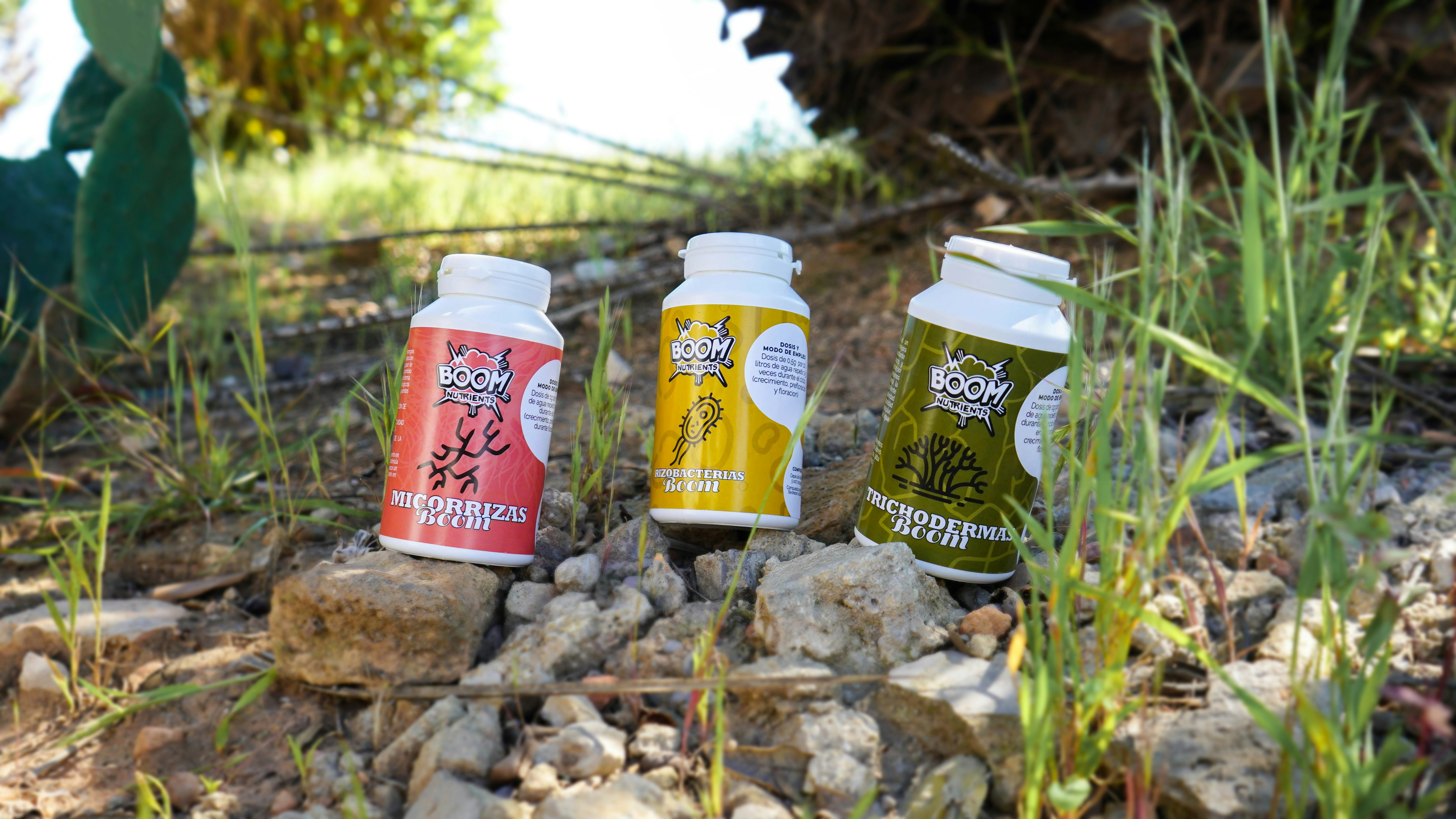 Three Bottles of BOOM! Paints Rest on a Rocky Patch