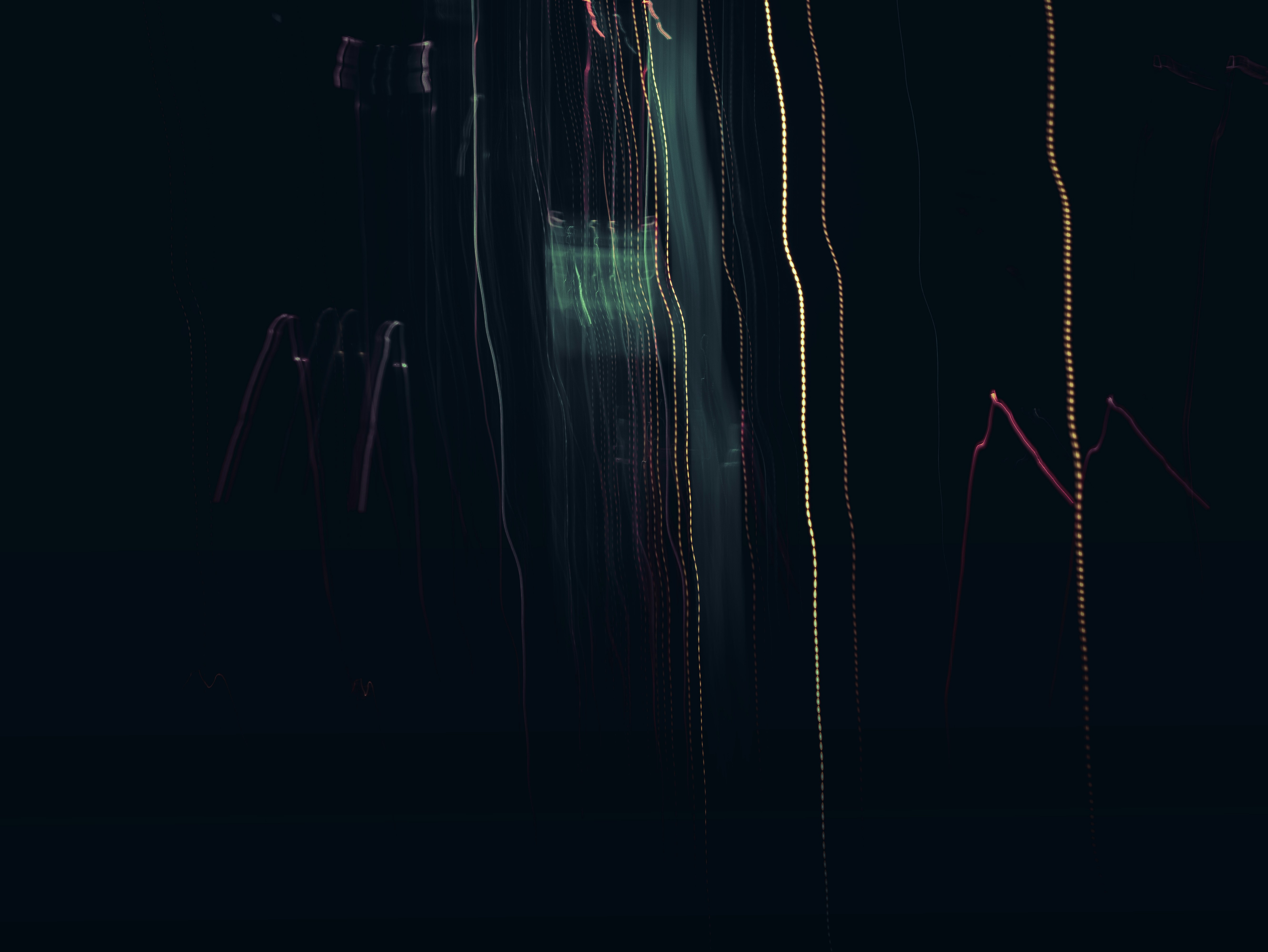 Neon Trails: A Night Portrait of Moving Light