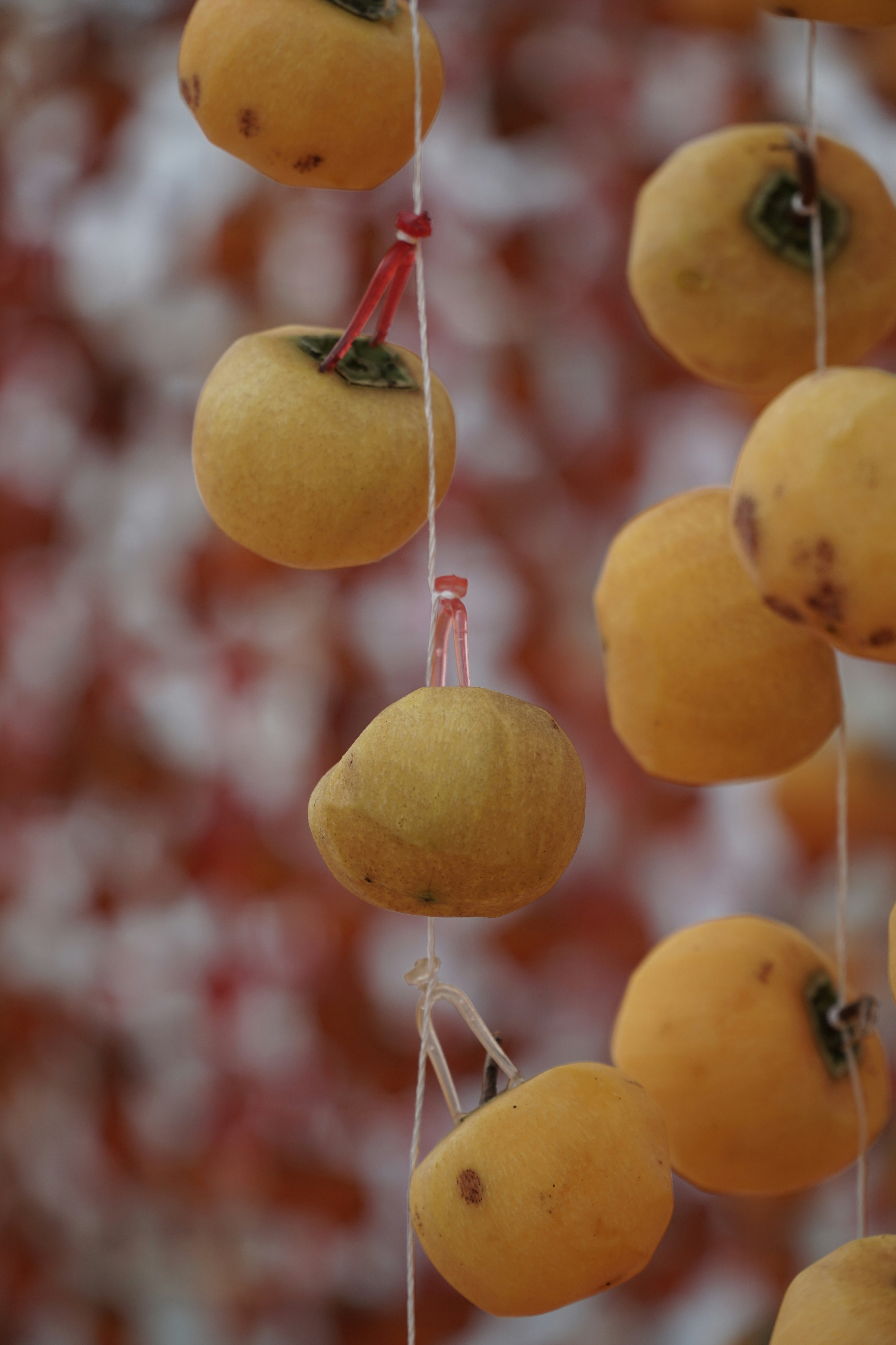 Rows of sun-dried persimmons hanging in the crisp mountain air of Da Lat, Vietnam. A quiet autumn tradition where sunshine, patience, and time transform fresh fruit into a naturally sweet delicacy.