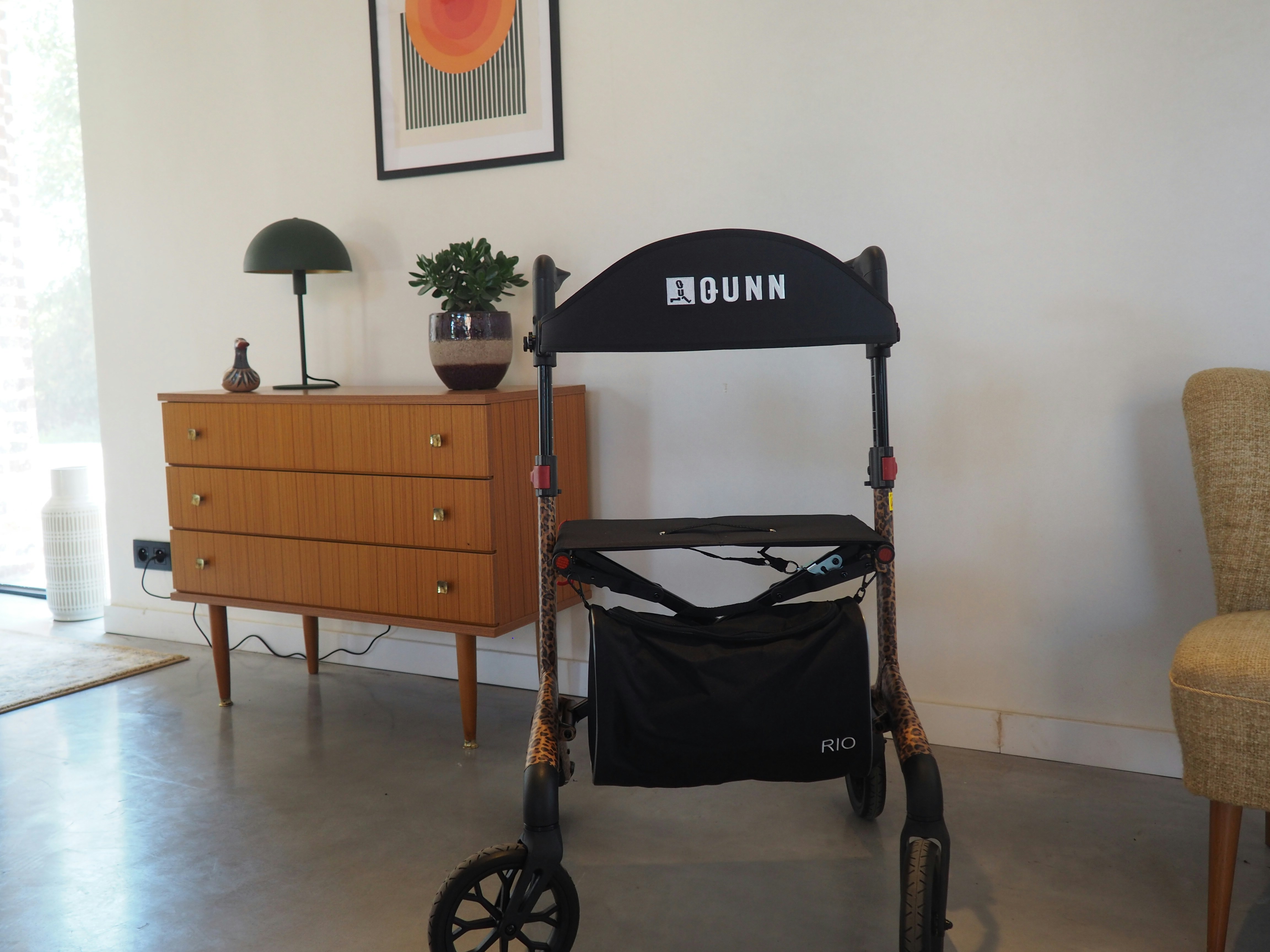 Mid-Century Still Life: A Rio Bravo Stroller Guarded by Quiet Modernity