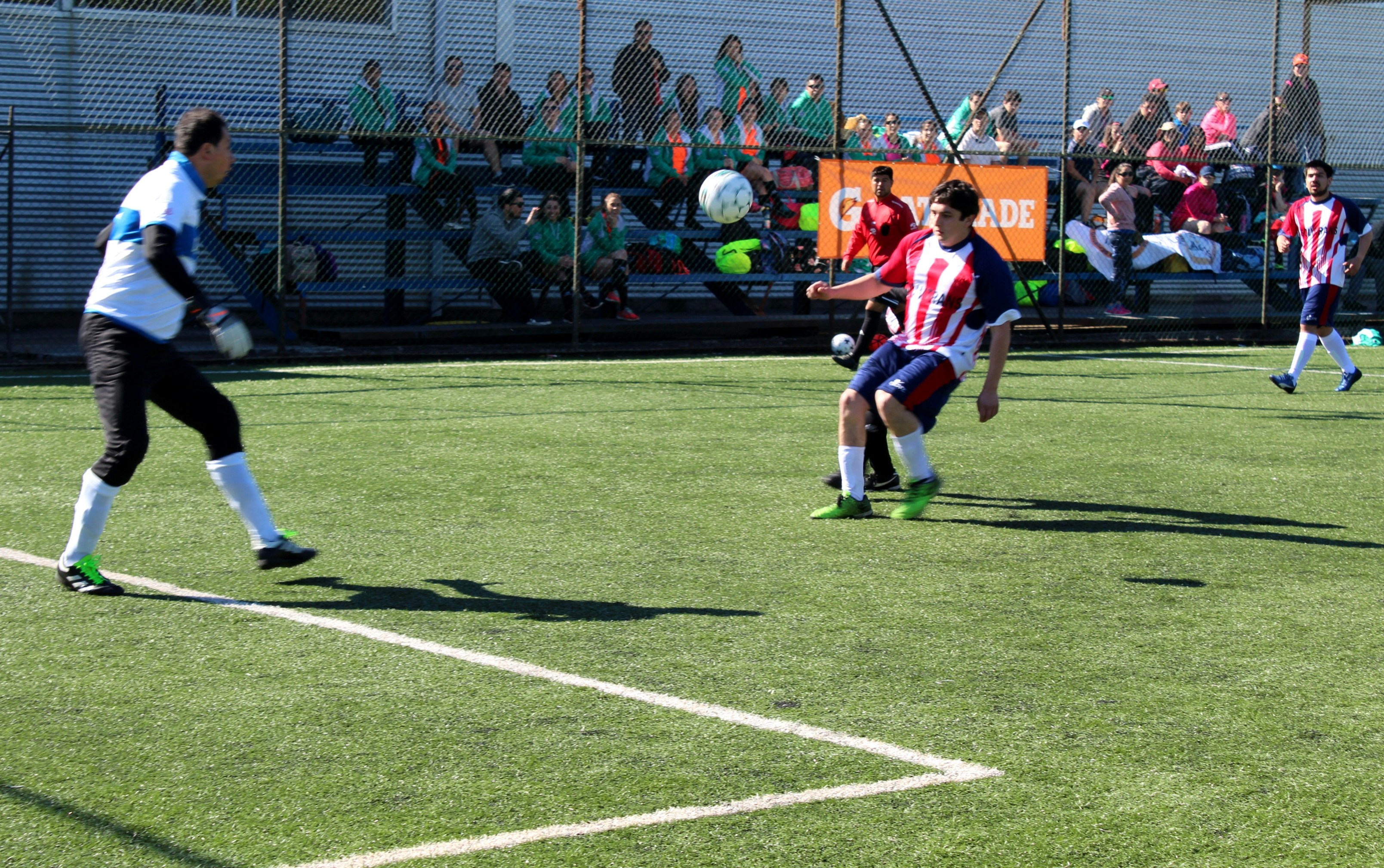 Midfield Moment: Striker Faces a Sliding Save