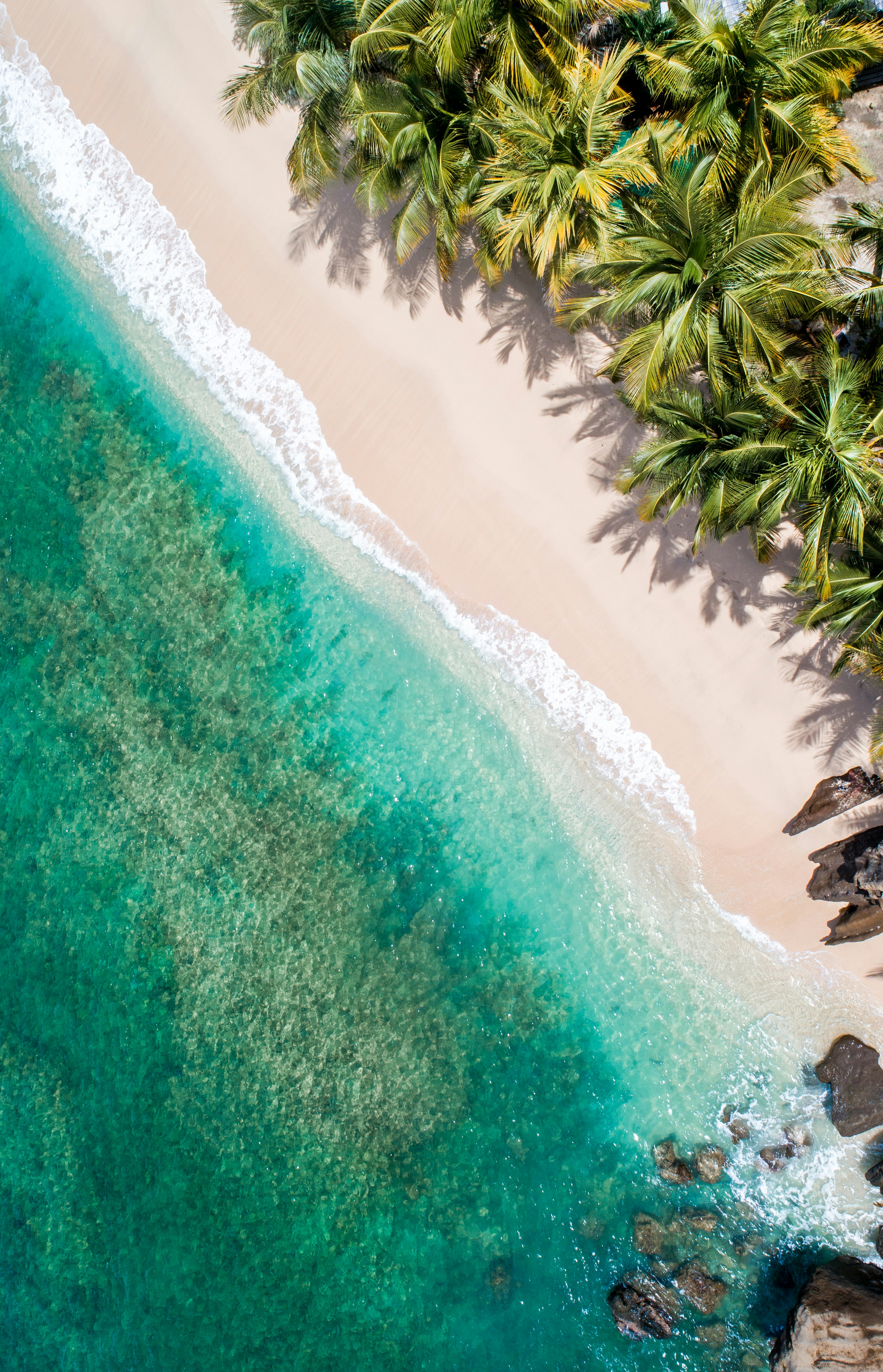 Turquoise Coastline: Palm Shade and White Sand