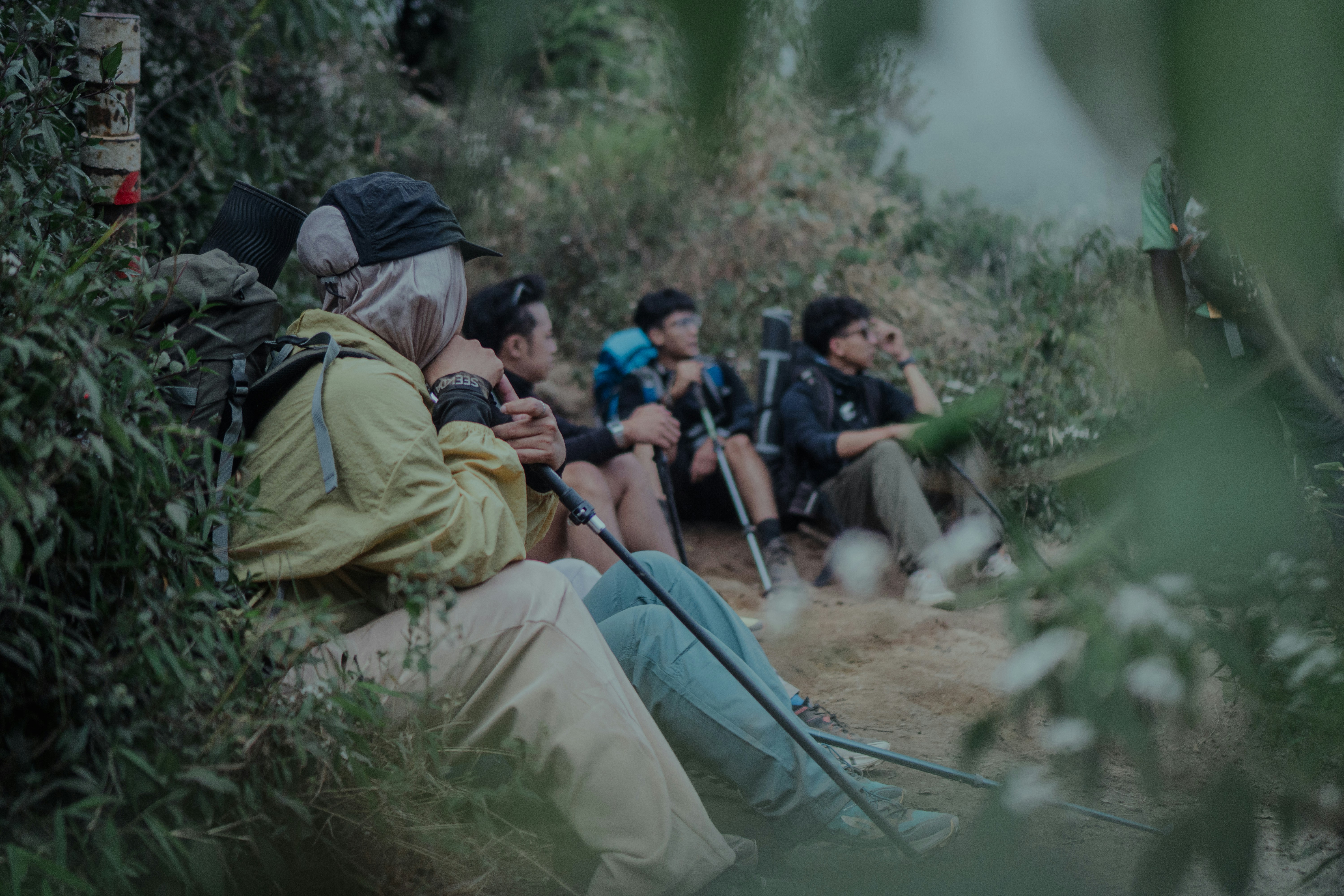 Hushed Vigil: A Row of Enthusiasts Resting in a Shadowed Ridge