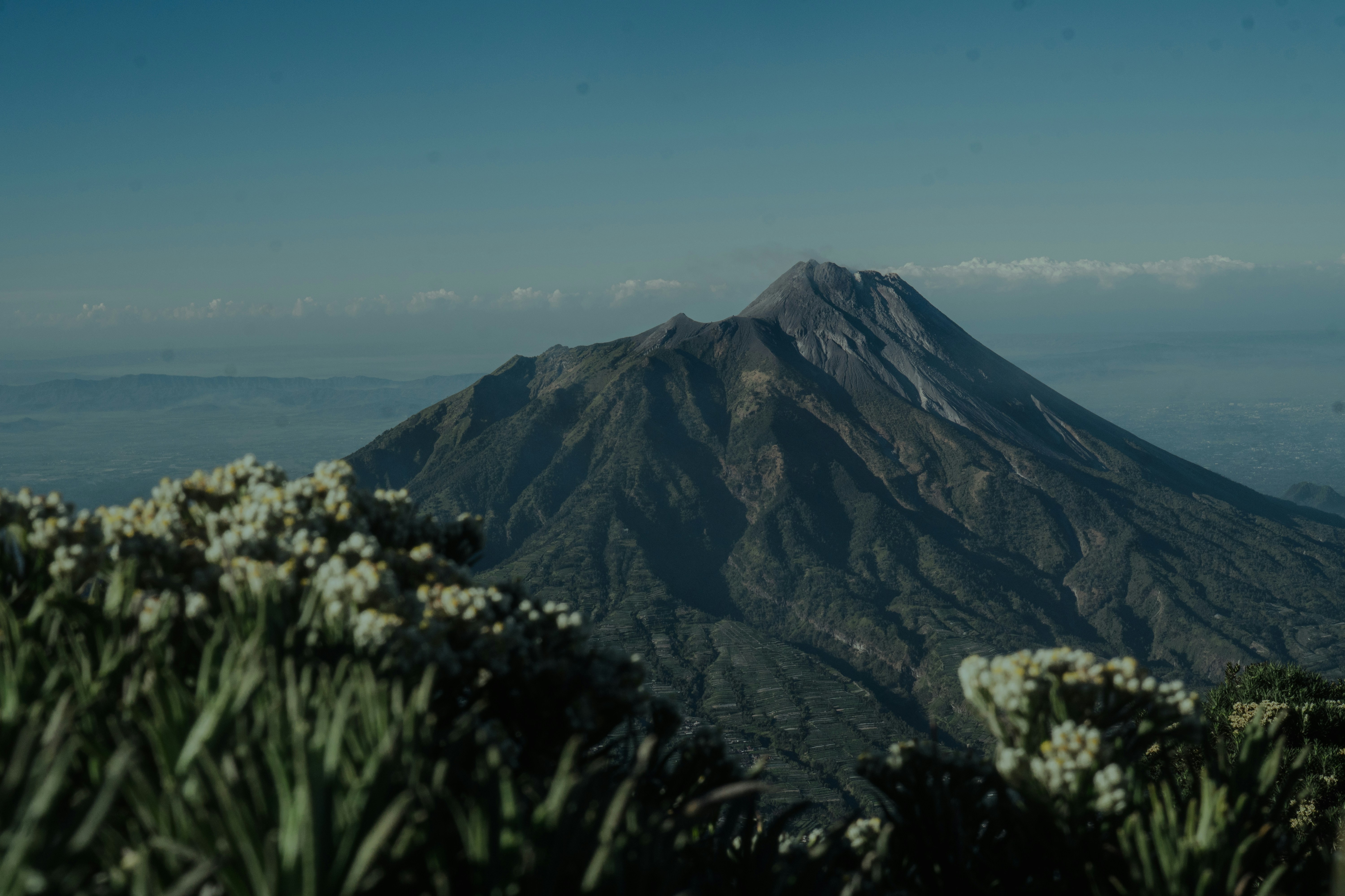 Volcano silhouette rises above rolling slopes framed by foreground flowers; wide landscape with clear sky and distant horizon. This image is a natural landscape capture.