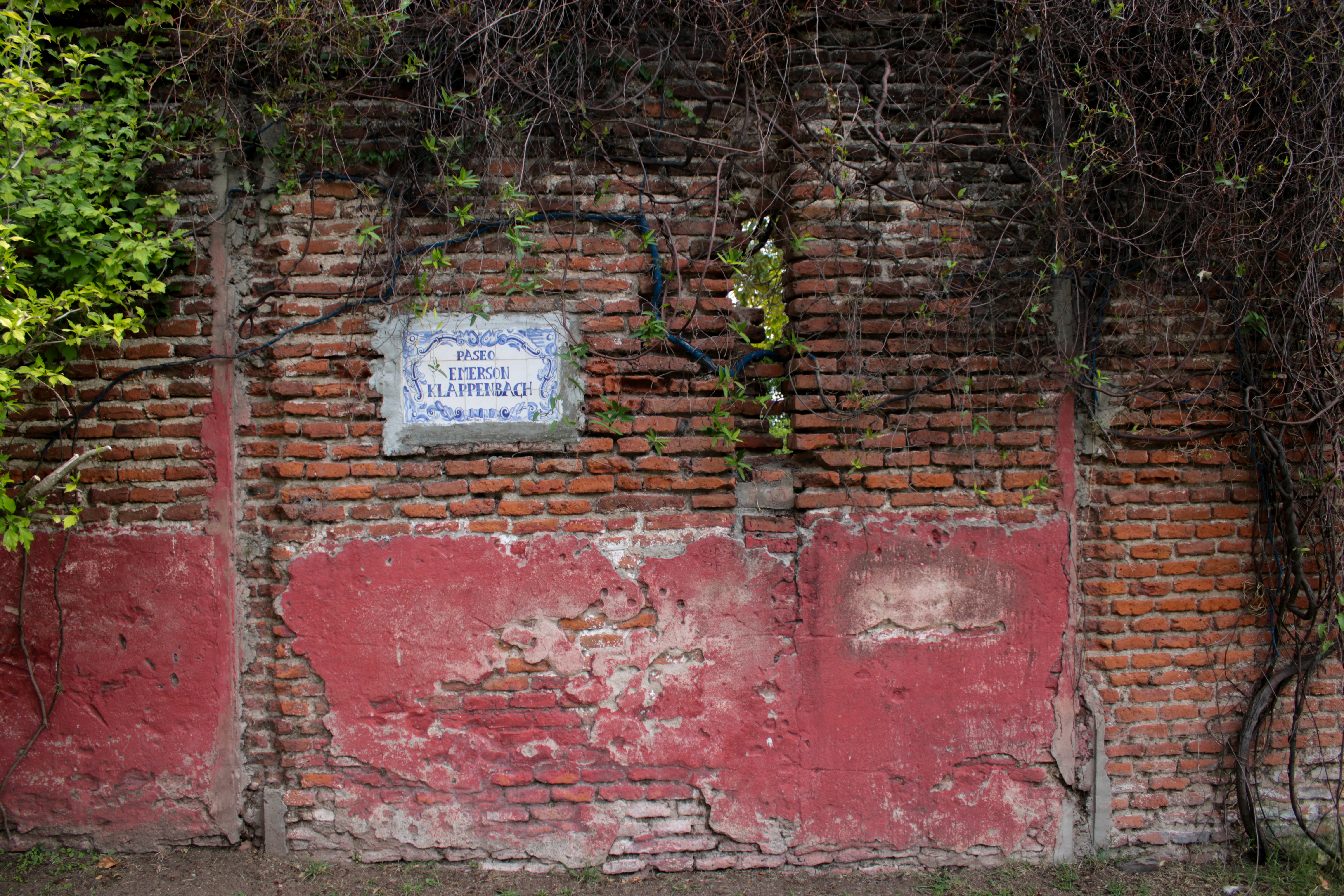 Red Wall Echoes: Weathered Brick and Ivy in Morning Light