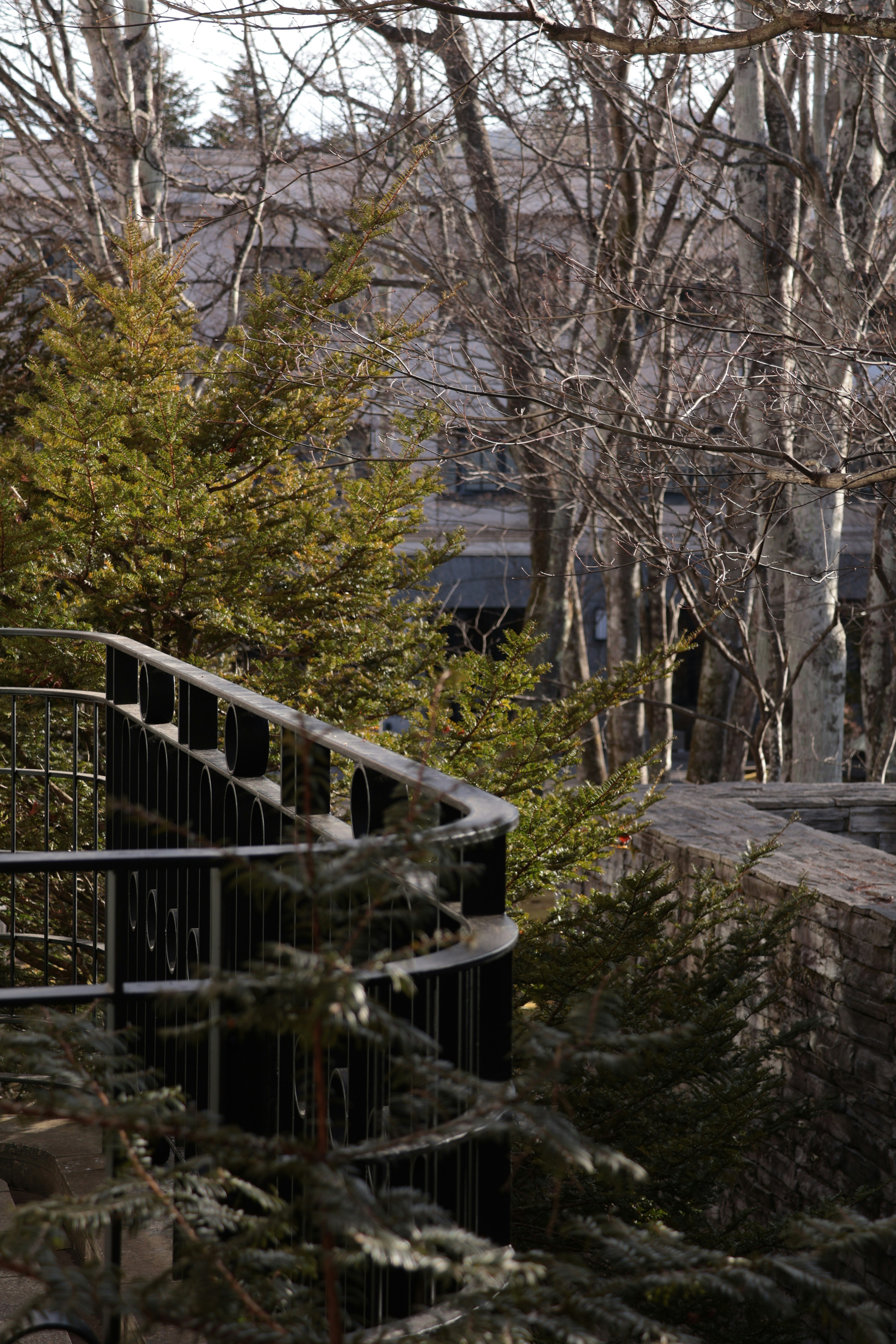 Curved railing overhung by winter branches in a quiet courtyard