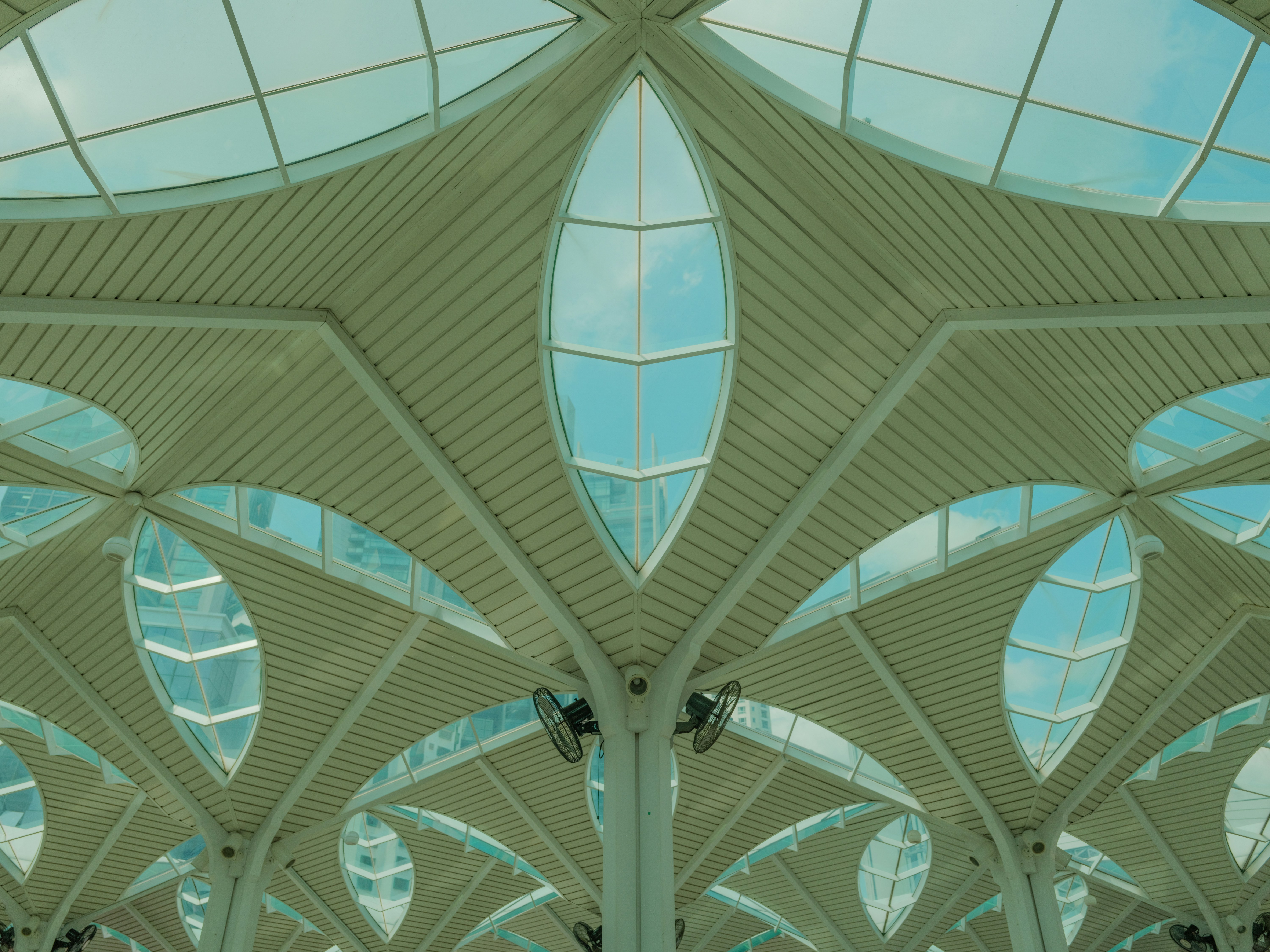 Crisscross of Glass and Steel: A Cathedral of Sky
