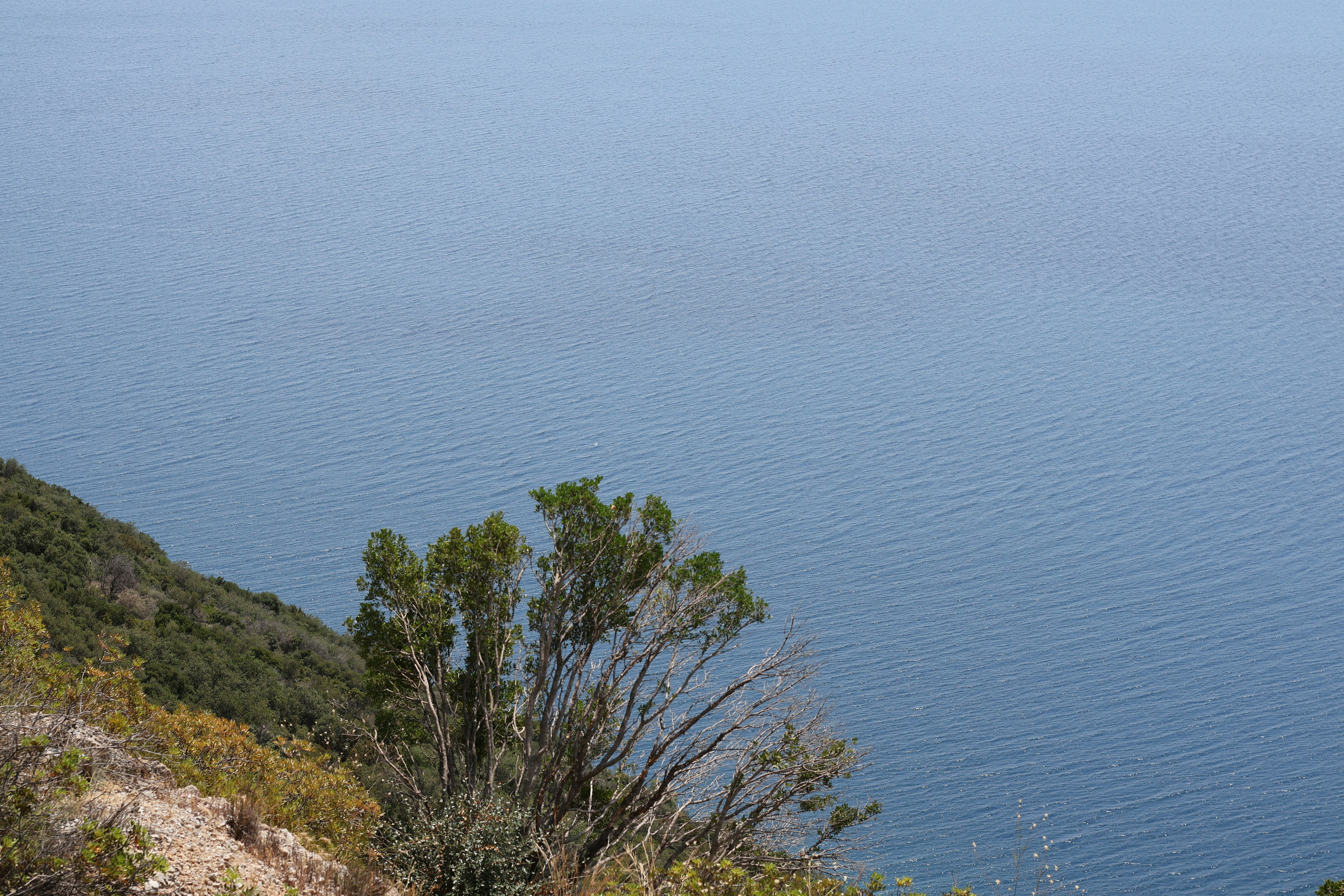 Windward Cliff Edge Over Azure Steps