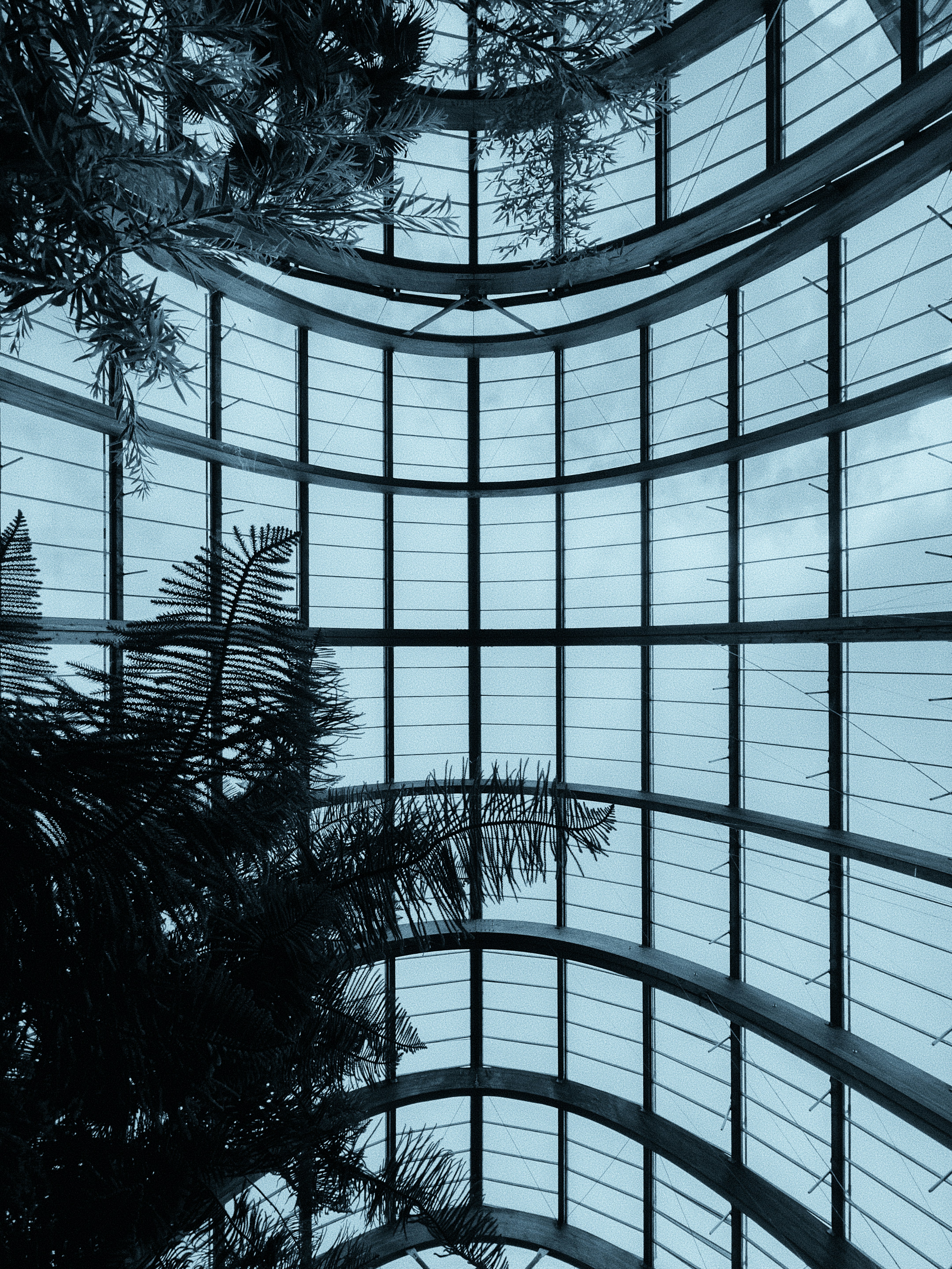 Curved Glass Atrium with Overhanging Foliage