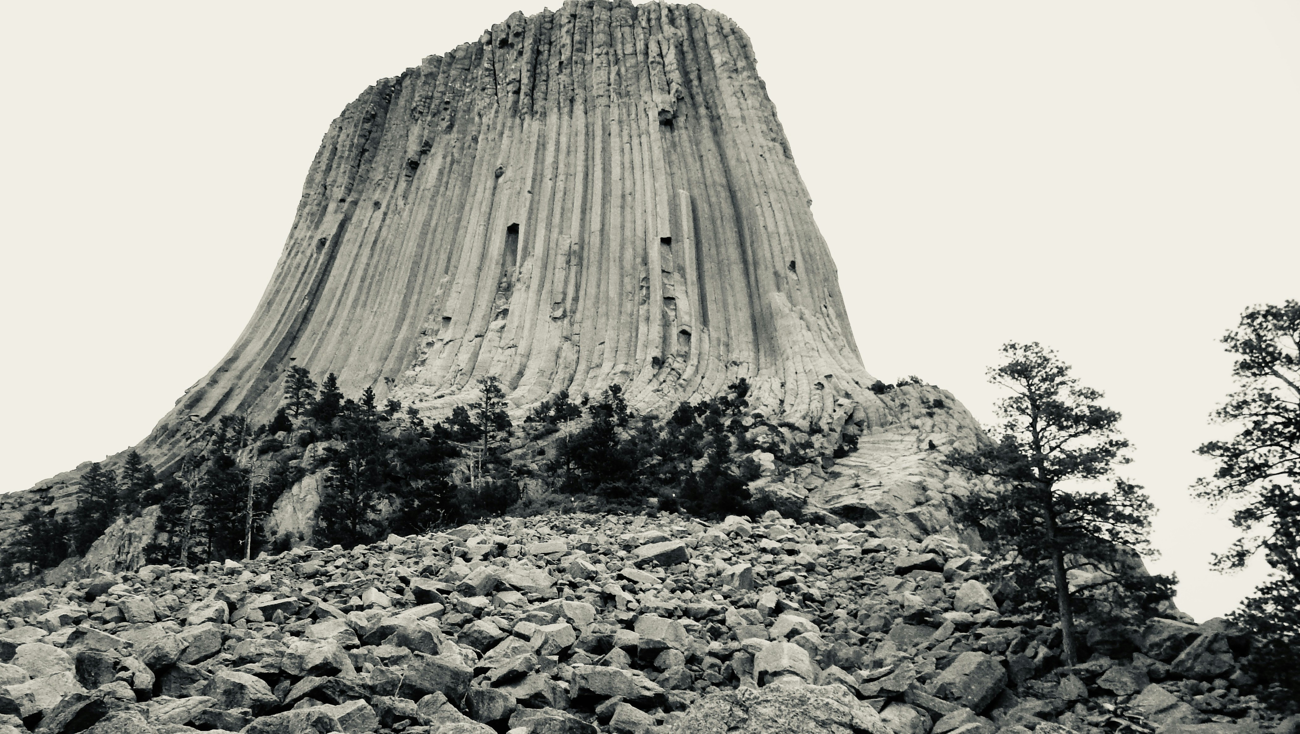 Columned Sentinel: A Desert Monument Rises Over Rocky Pines