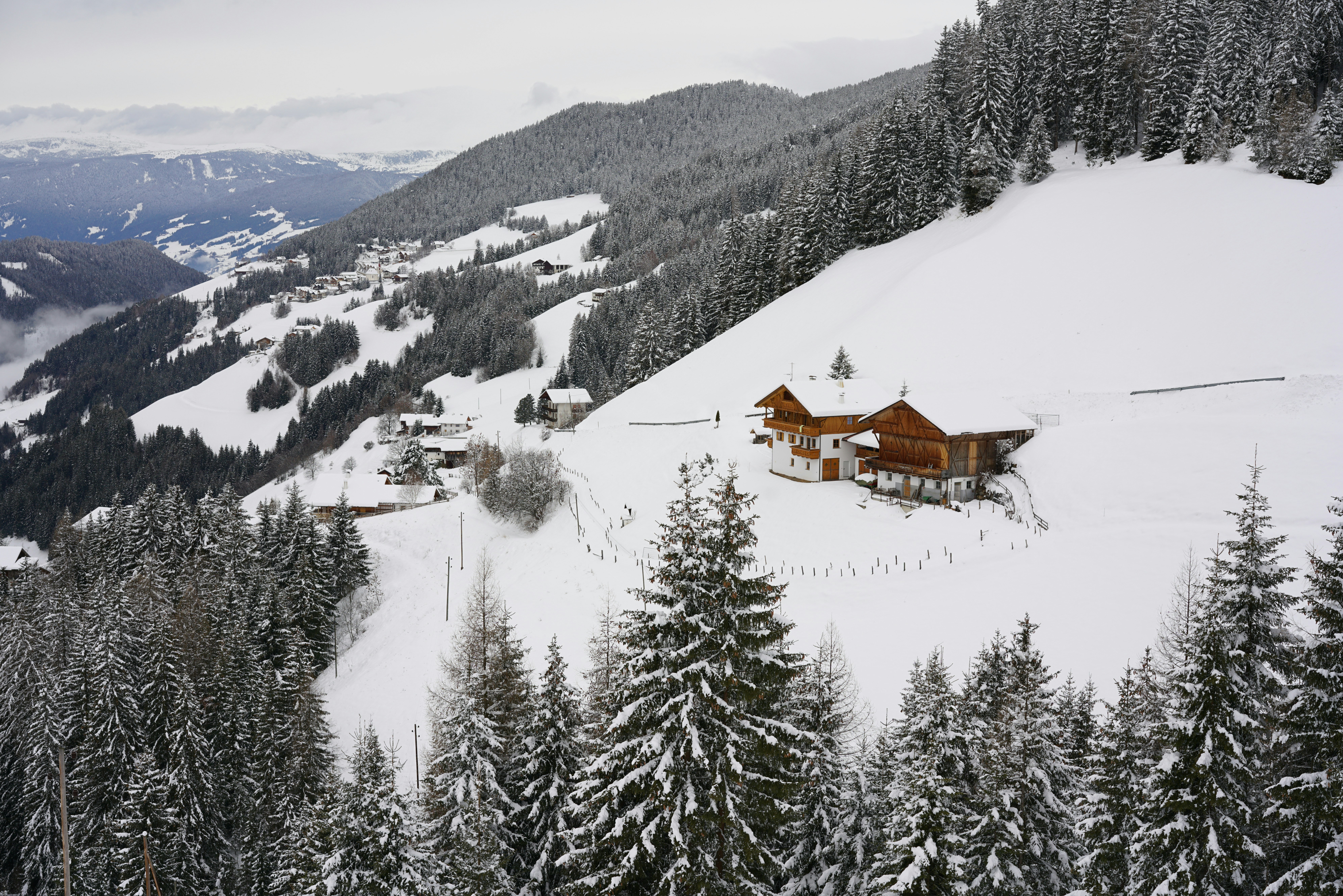 Snowbound Chalet Nestled Among Conifer Canopy