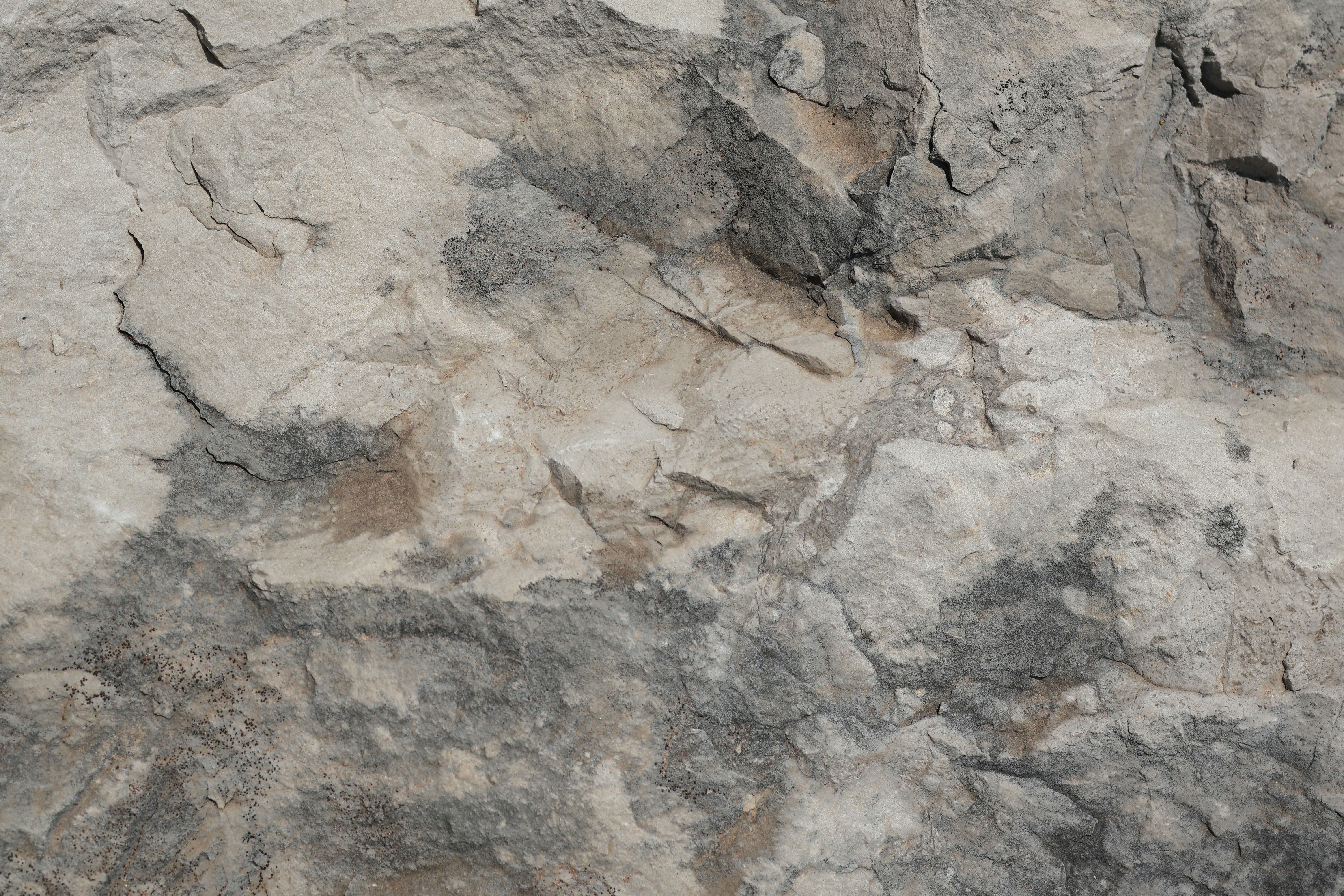 Weathered Granite Mosaic: Subtle Facets of Time
