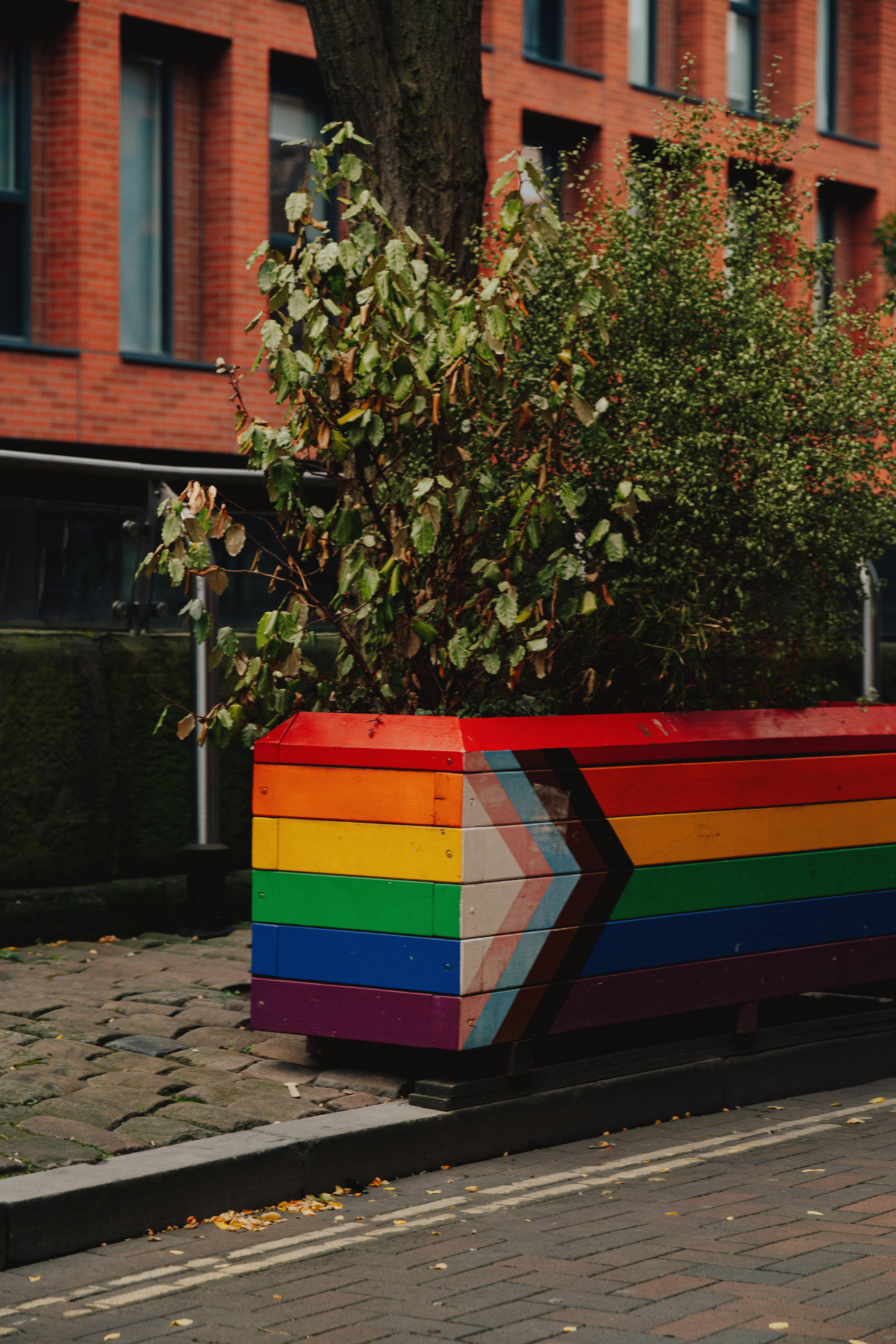 Rainbow seating under a leafy urban tree