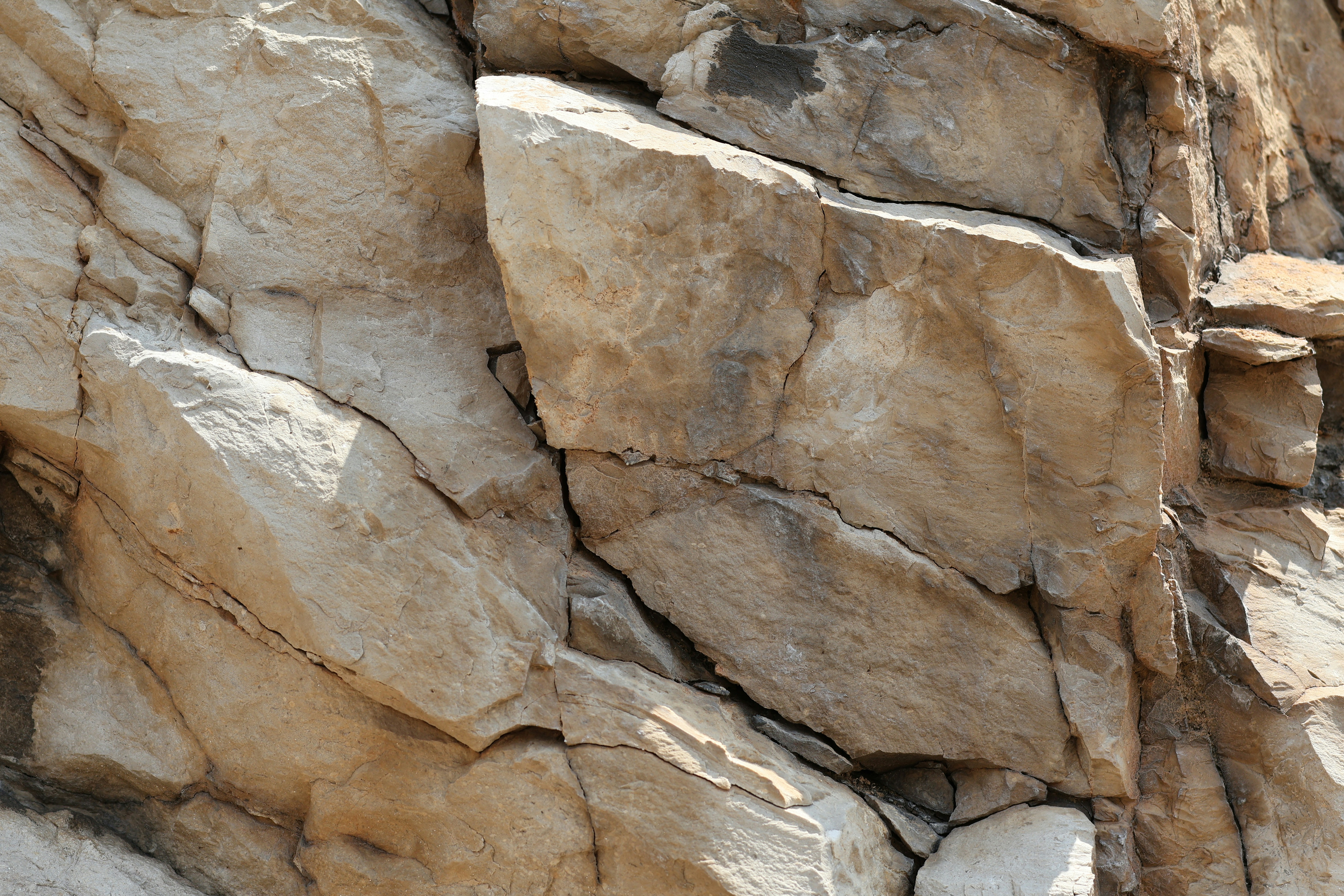 Rugged Armor: Weathered Granite Faces the Light