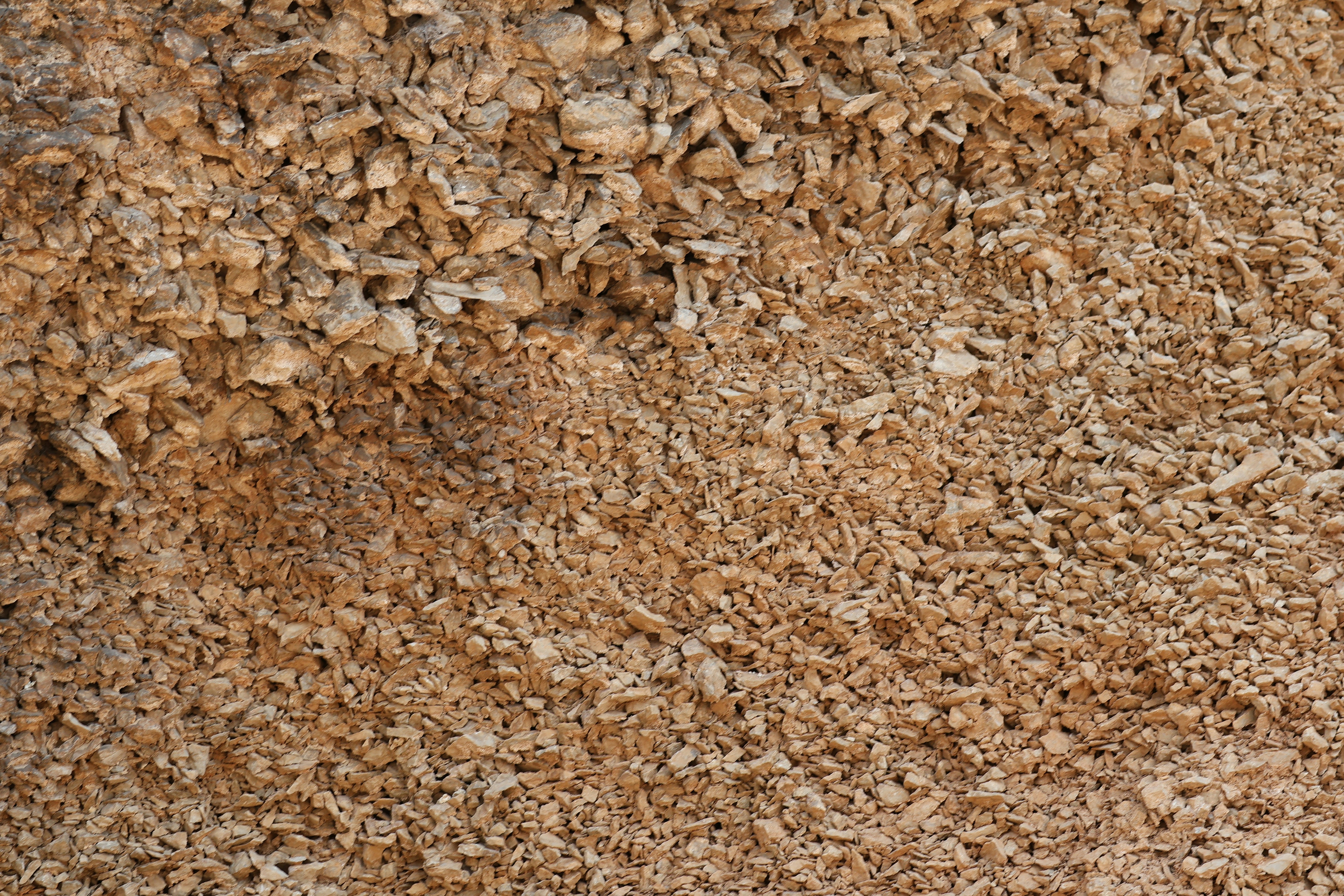 Texture Field: Macroscopic Cork Granules Under Even Light