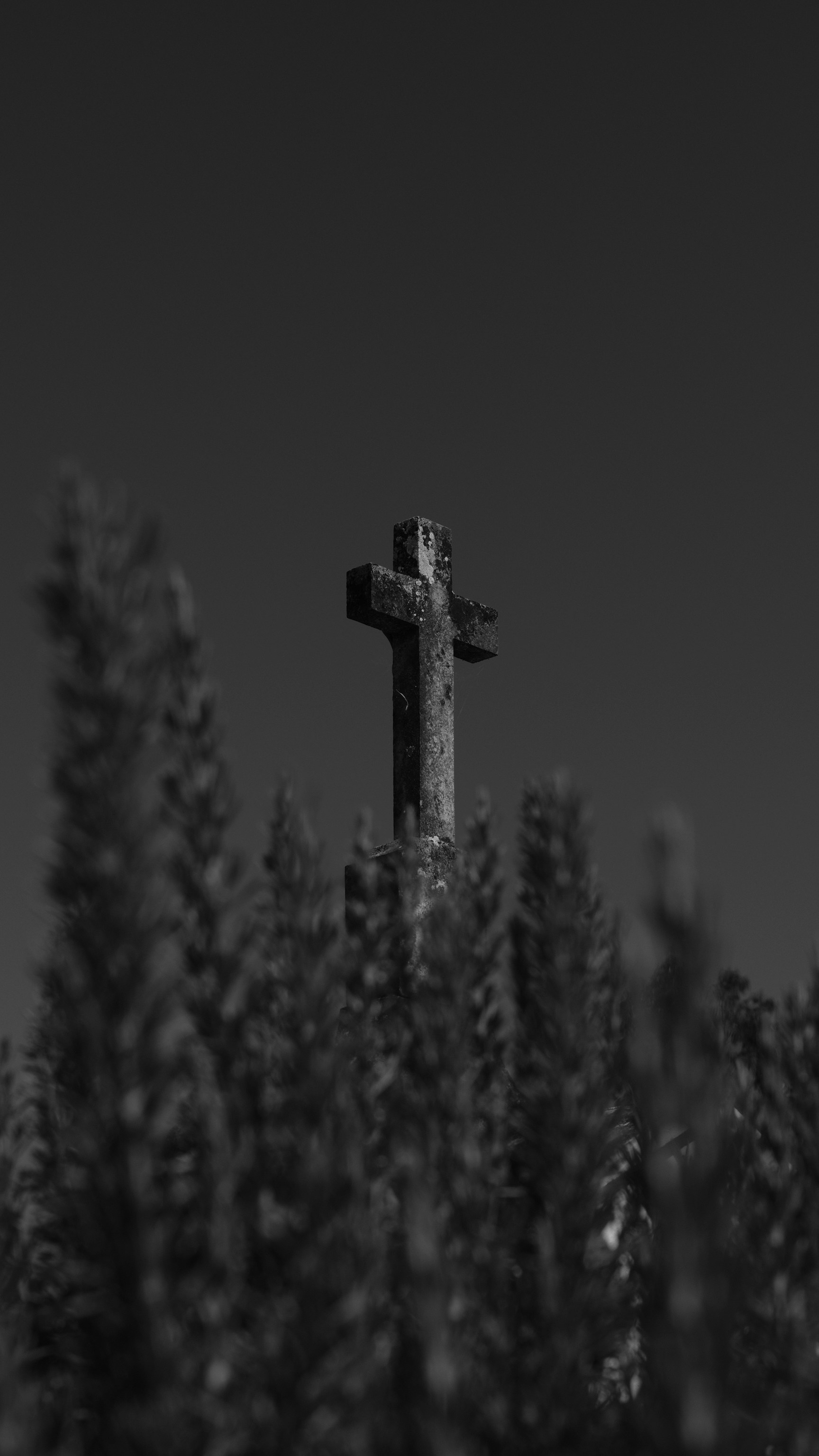 Gravestone of Silence: A solitary cross rises above the darkened meadow
