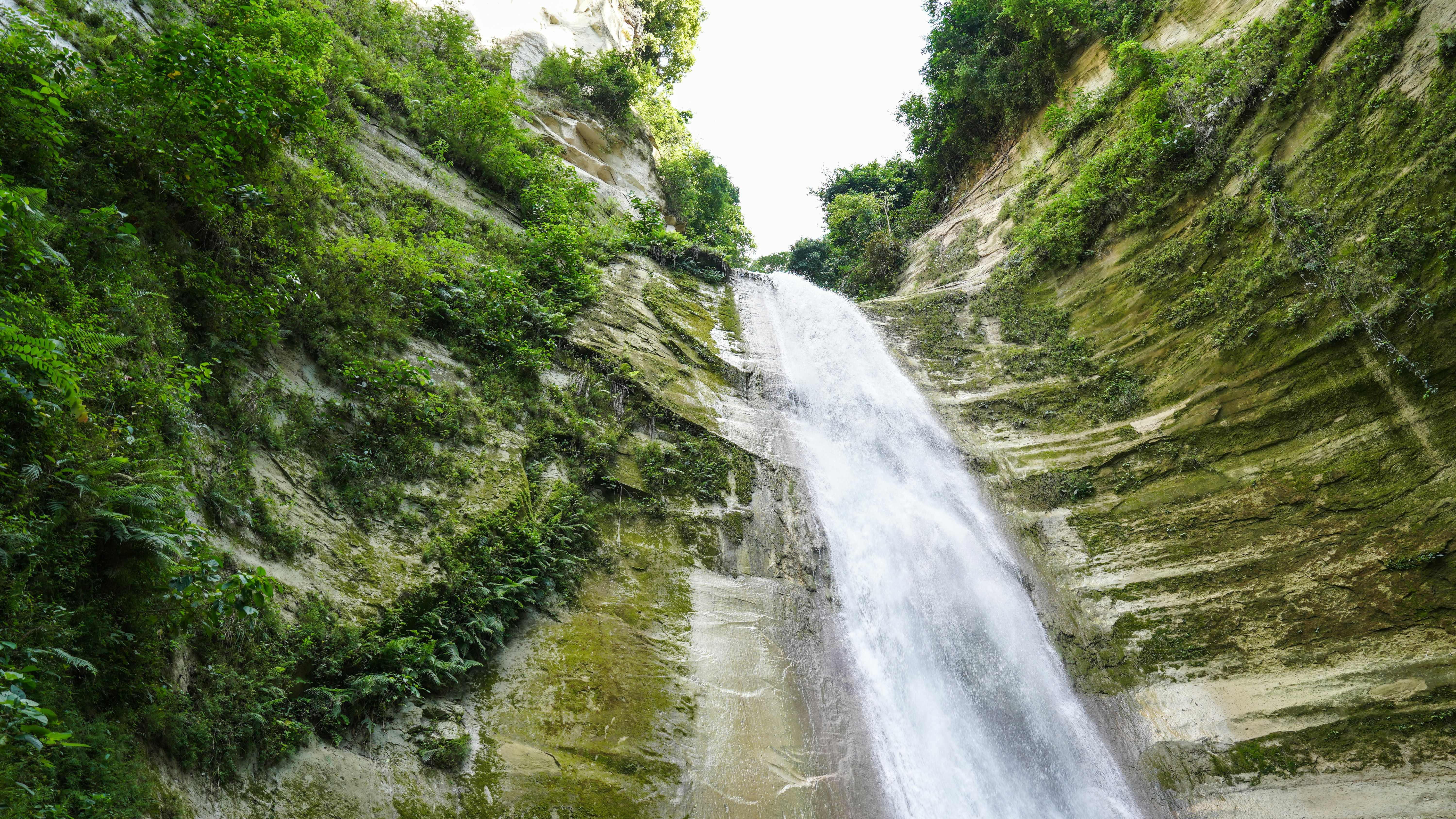 Midway Cascade: A Narrow Ribbon of Water Cutting Through Green Gorge