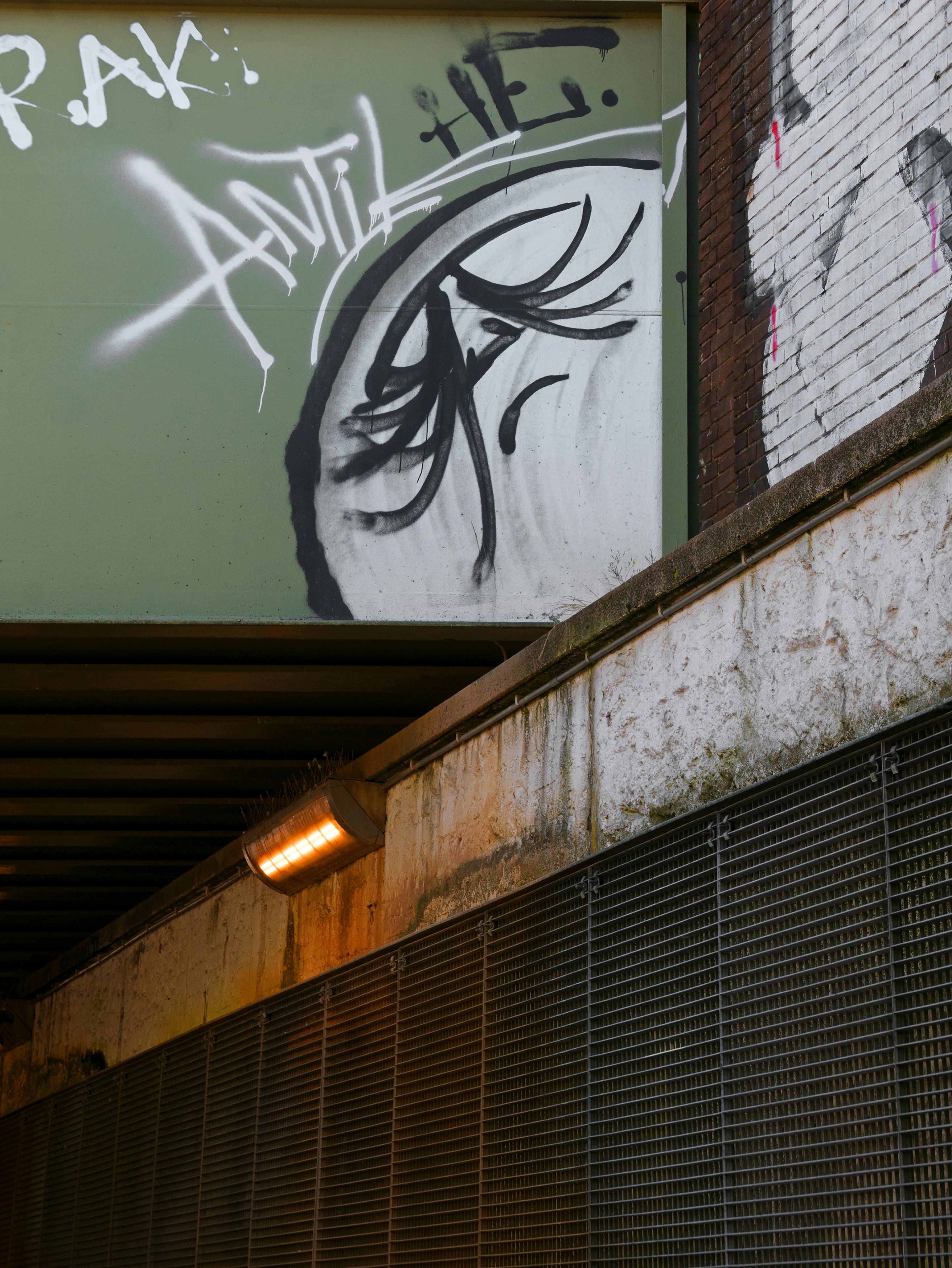 Graffiti Underpass: A Steel Curtain of Graze and Light