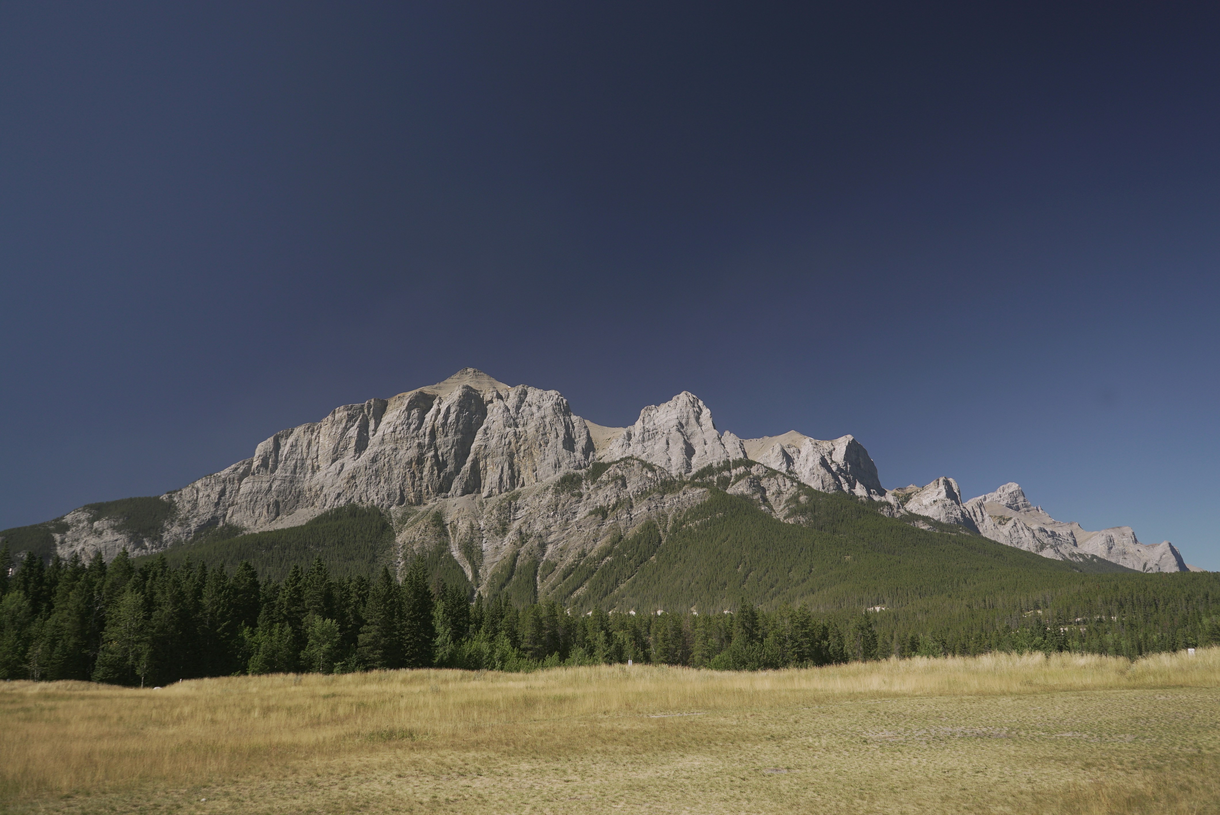 Rocky mountains rise above a forested ridge and sunlit meadow under a deep blue sky; a wide landscape scene emphasizing scale and natural contrast.