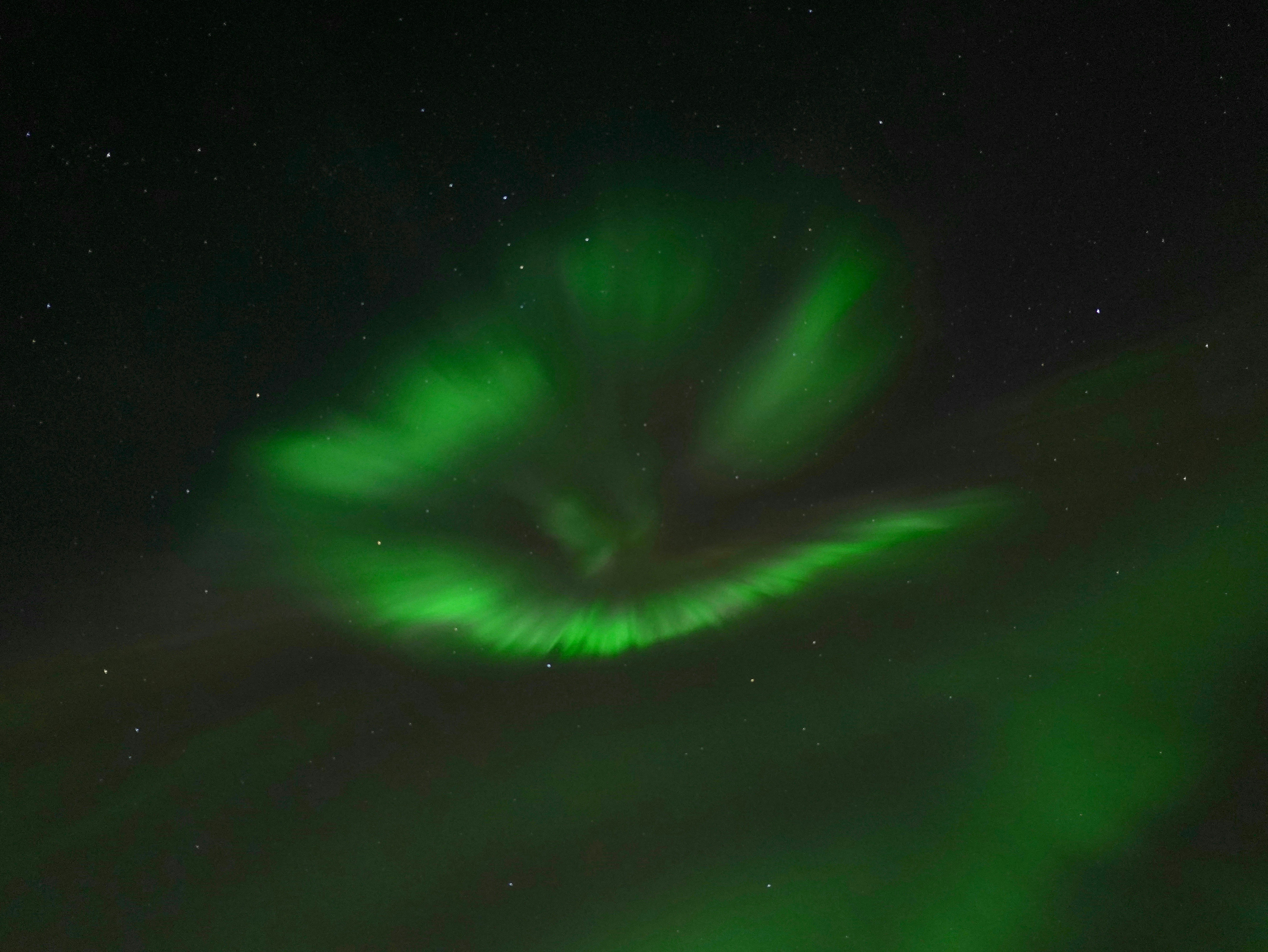Emerald Veil Over Silent Pines
