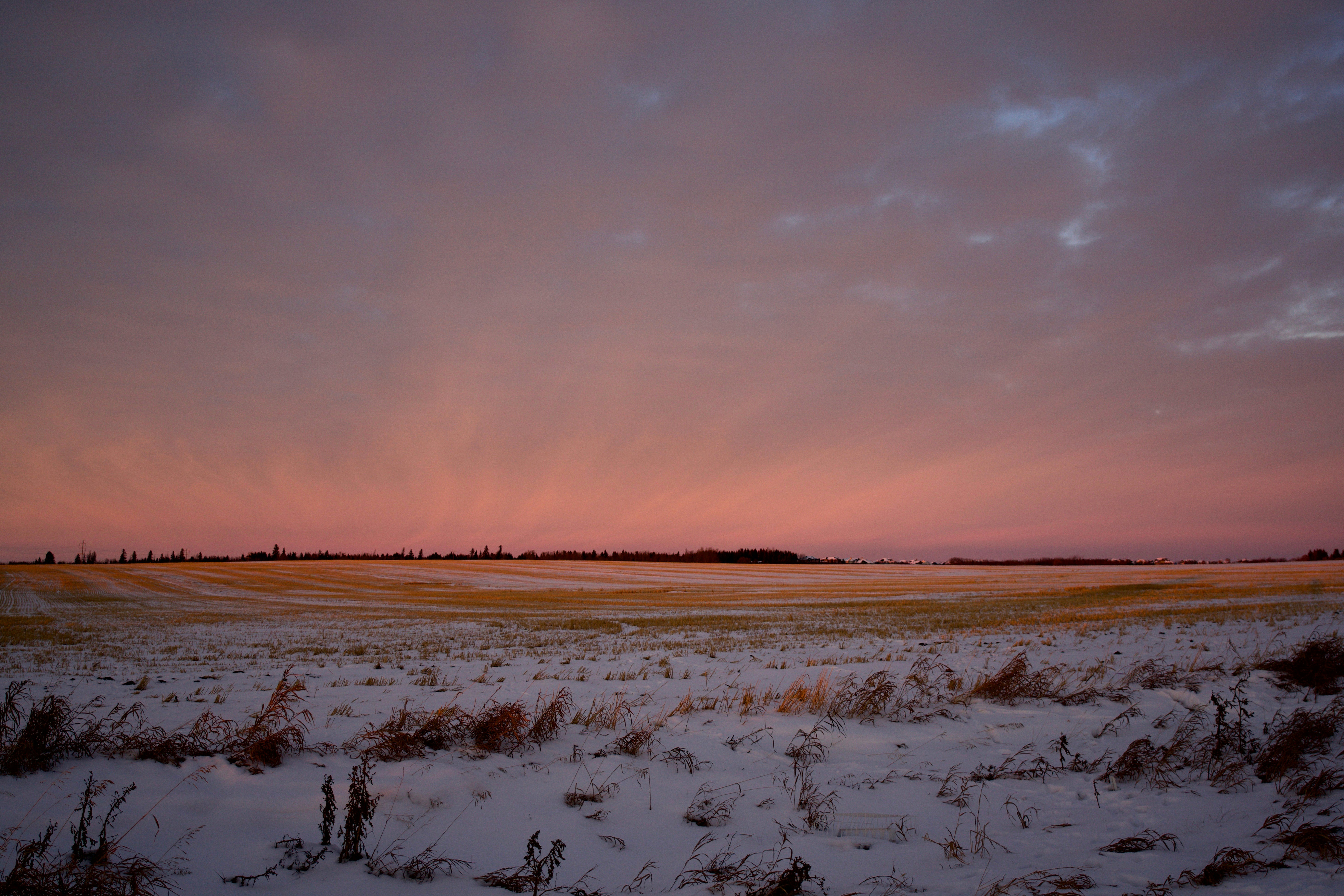 Sunrise over Frigid Prairie